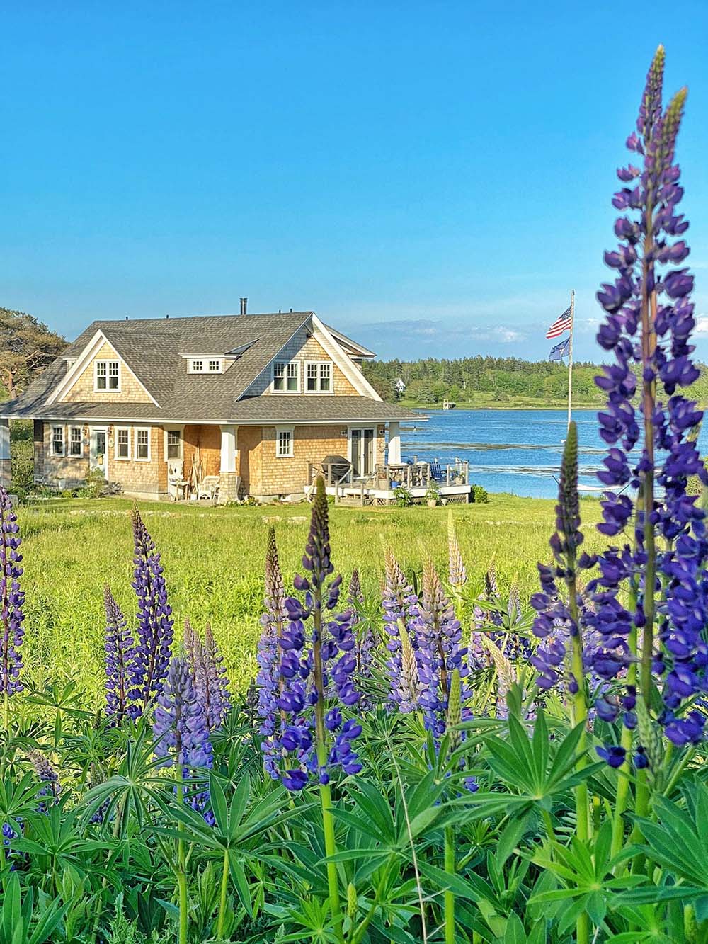 Home - Molly in Maine