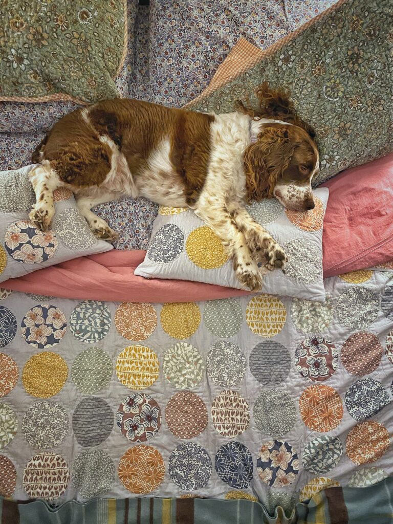 Cozy Cottage Mix and Match Bedding - Molly in Maine