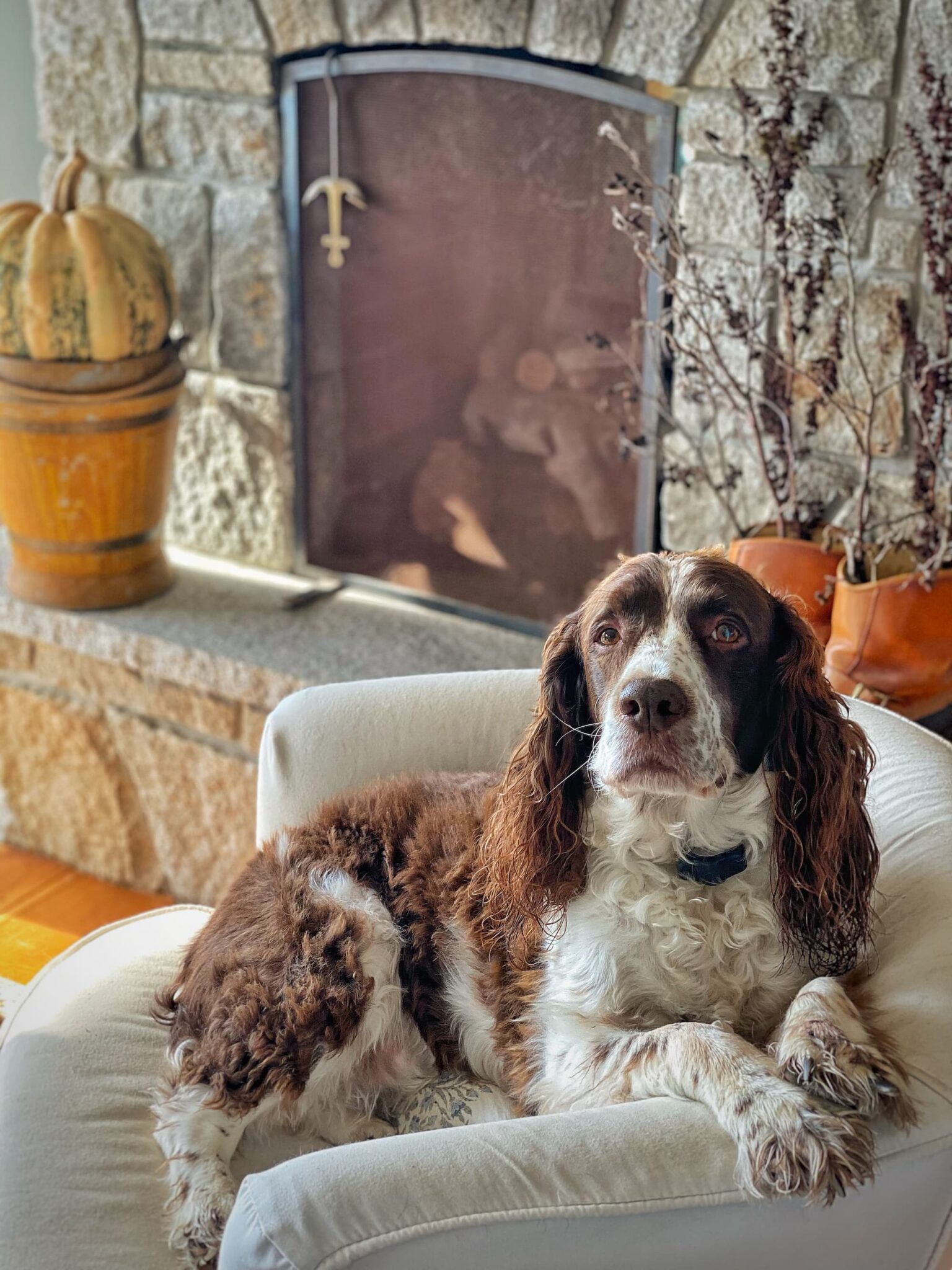 Easy Natural Mantel Decor To Enjoy All Fall! - Molly in Maine