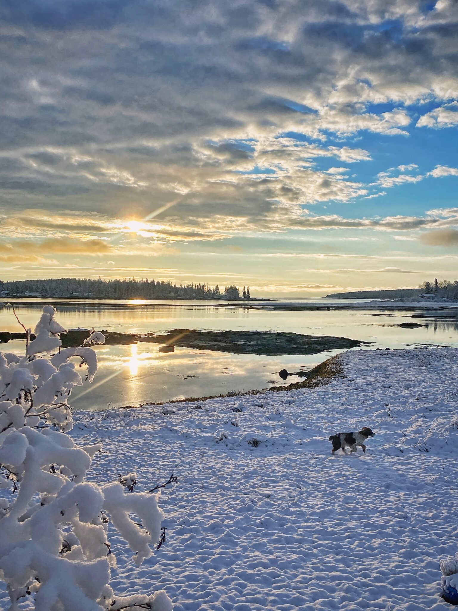 One Winter Week in Maine - Molly in Maine
