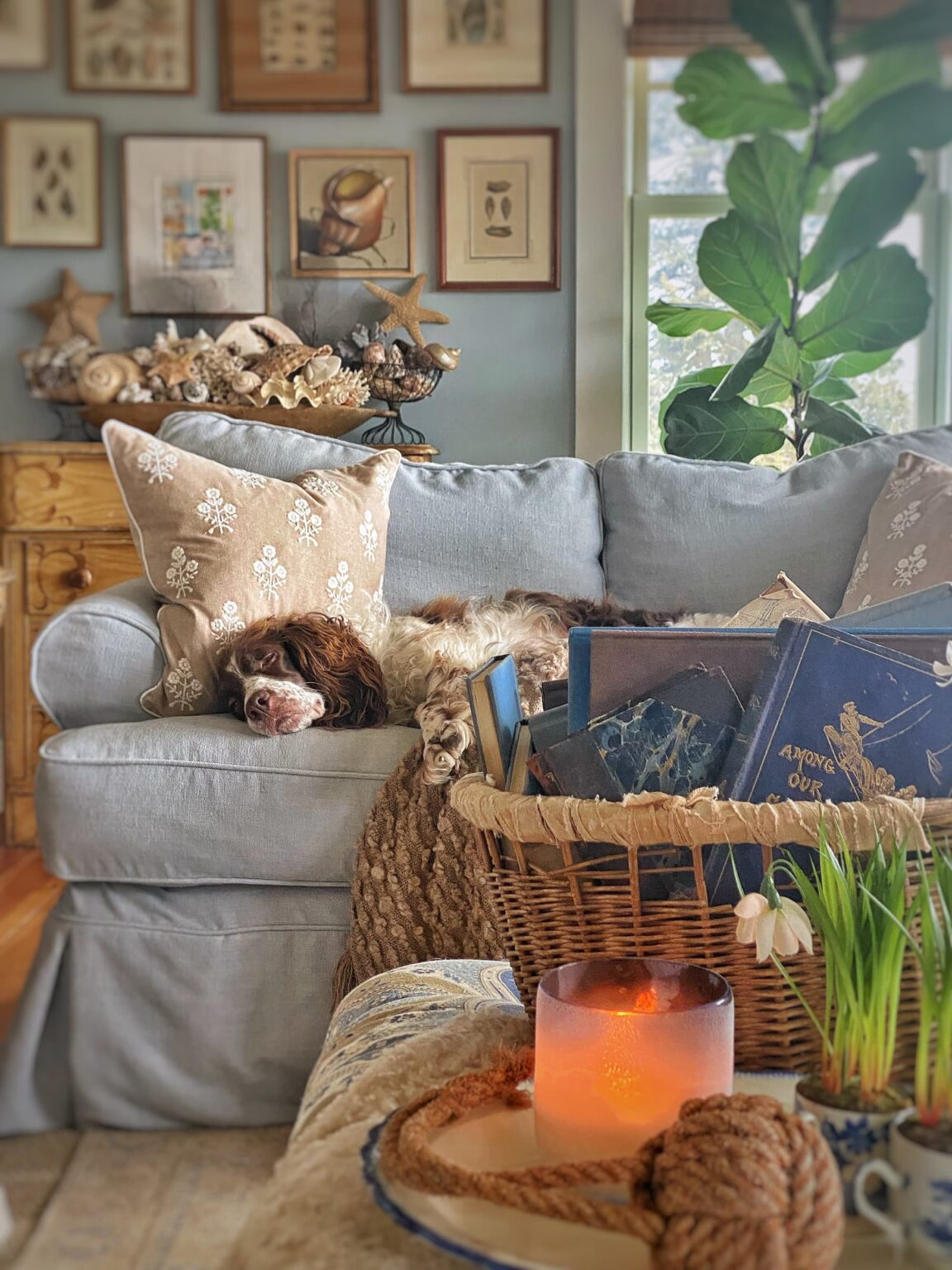 My February Home: A Little Cozy & A Little Fresh - Molly in Maine