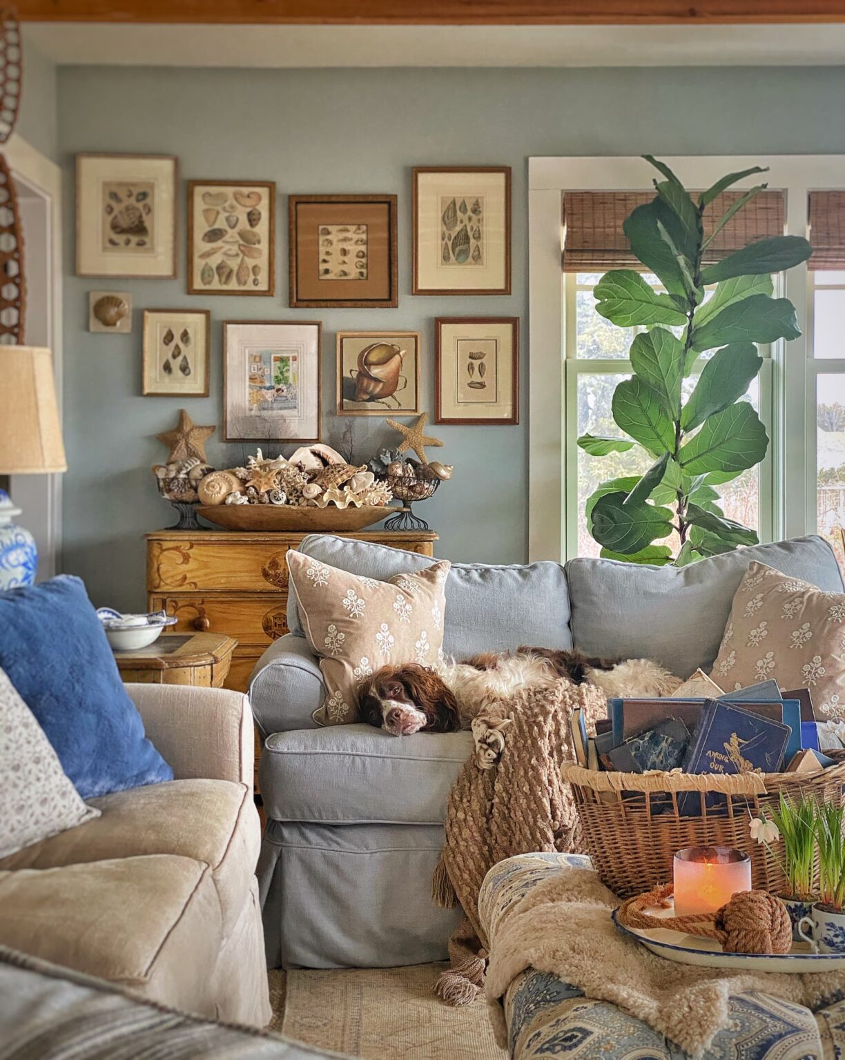 My February Home: A Little Cozy & A Little Fresh - Molly in Maine