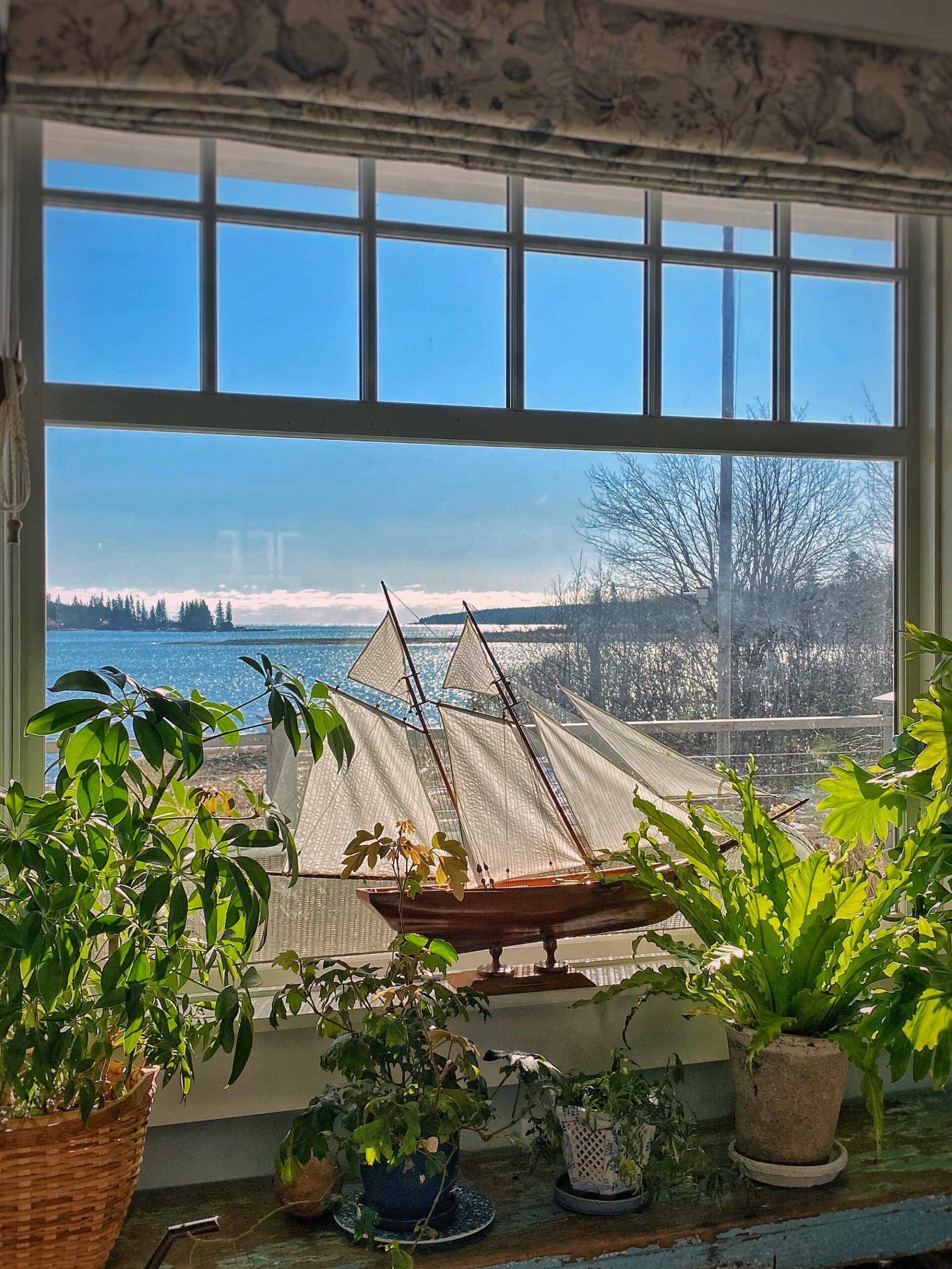 My February Home: A Little Cozy & A Little Fresh - Molly in Maine