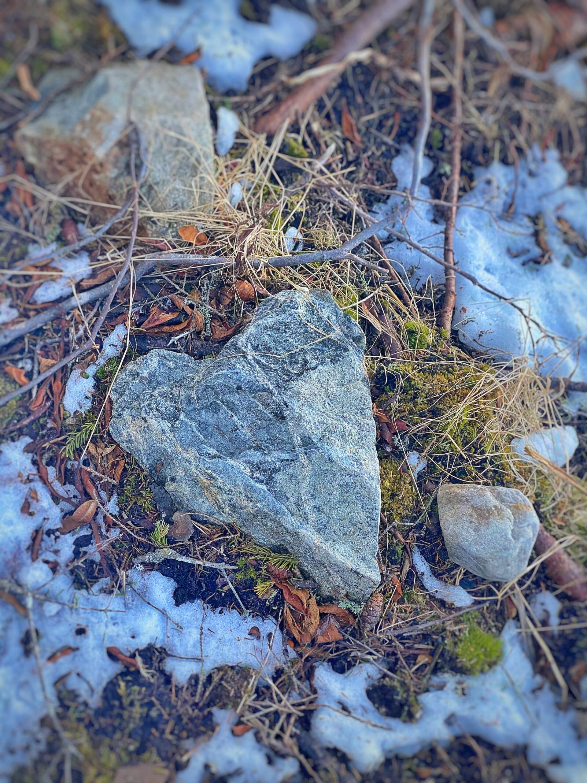 A Cozy Spring When It Still Feels Like Winter - Molly in Maine