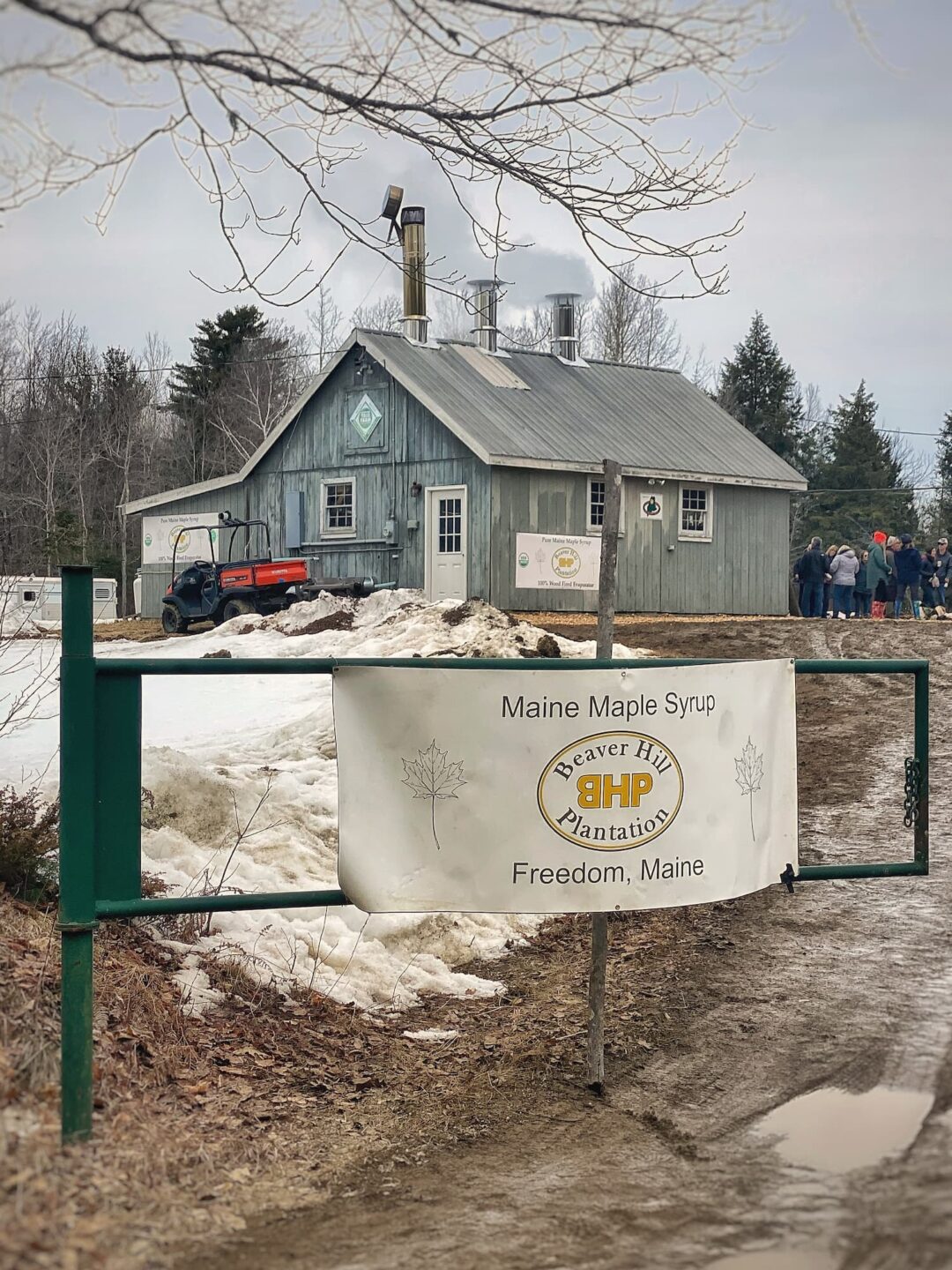 I'm Sweet On Maine Maple Syrup Season - Molly in Maine