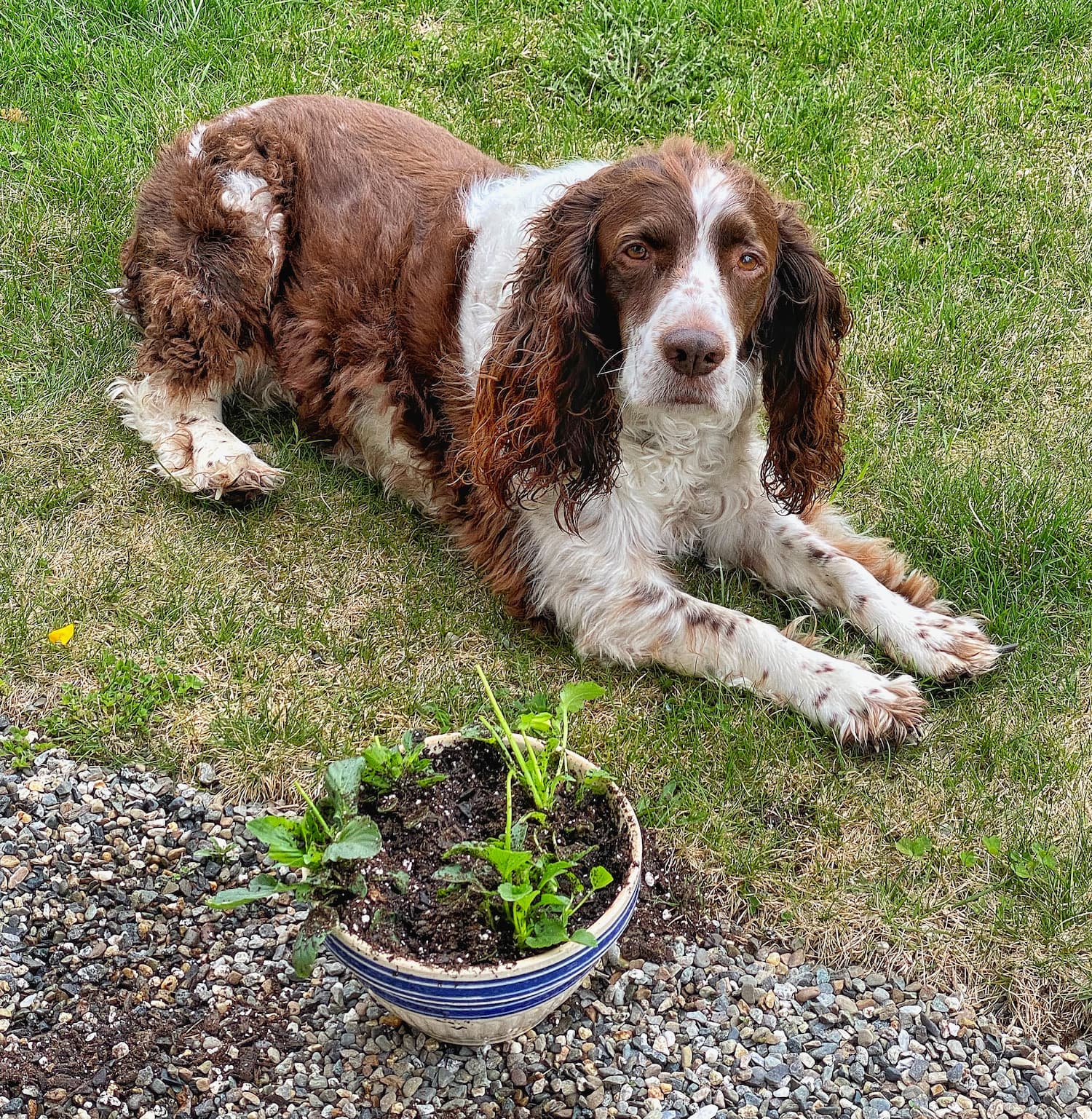 Mother's Day Gift Ideas With Coastal Maine Style - Molly in Maine