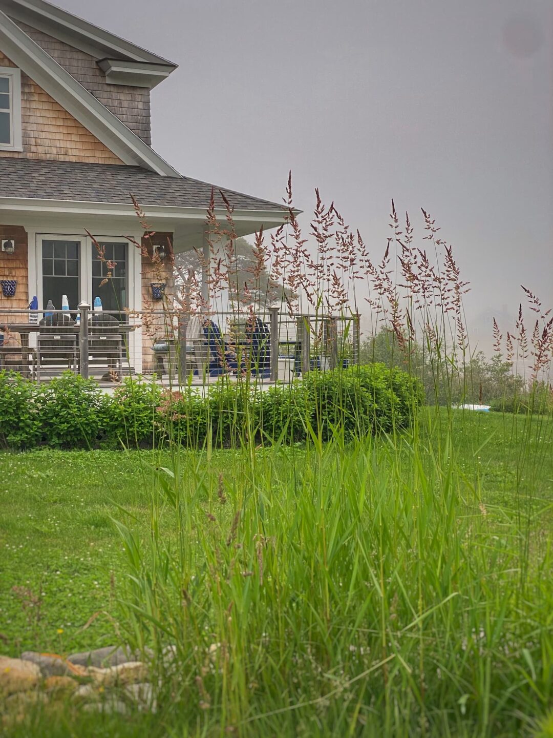 Socked in | A Soggy Foggy Summer Week On the Coast of Maine - Molly in ...