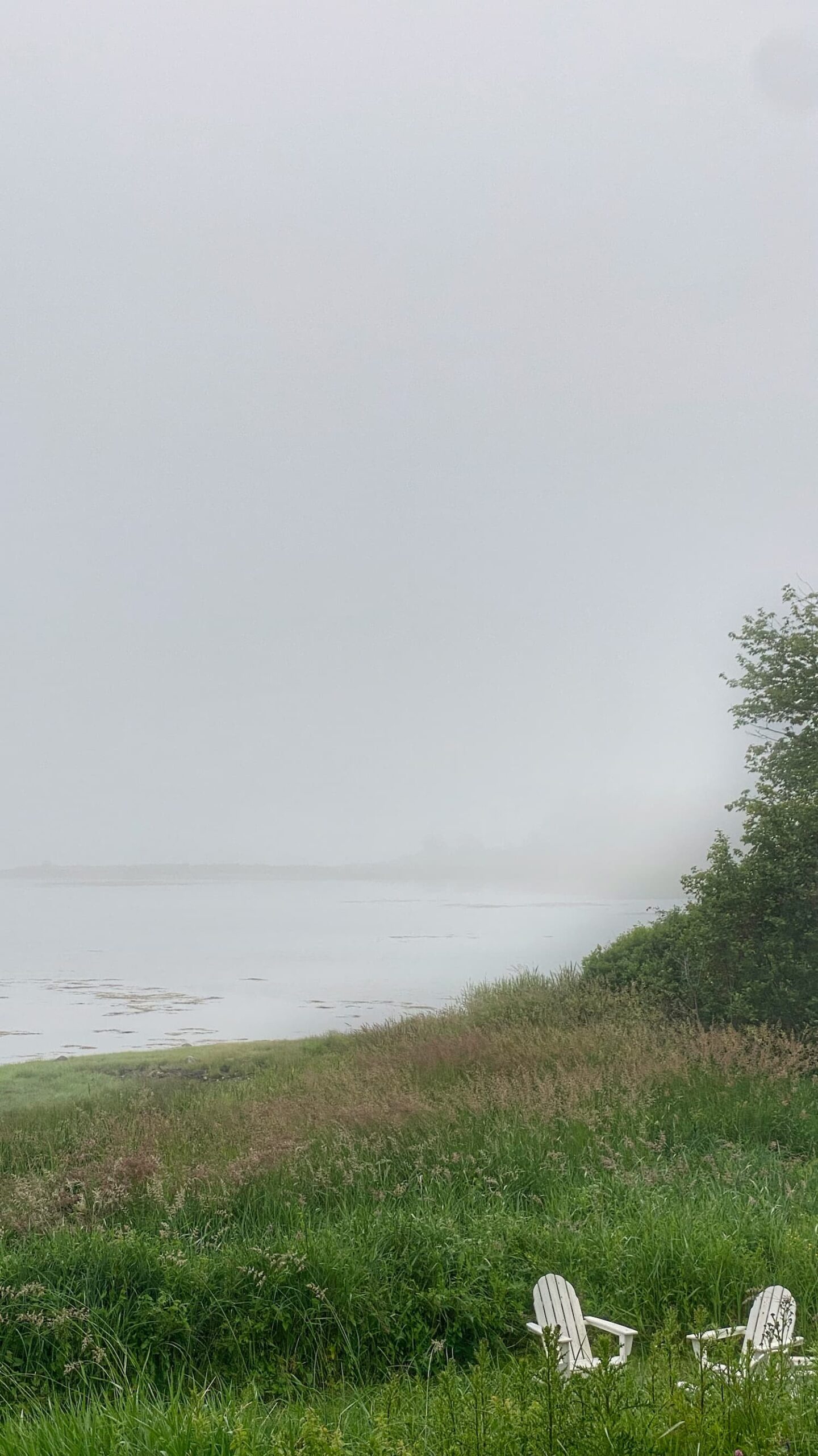 Socked in | A Soggy Foggy Summer Week On the Coast of Maine - Molly in ...