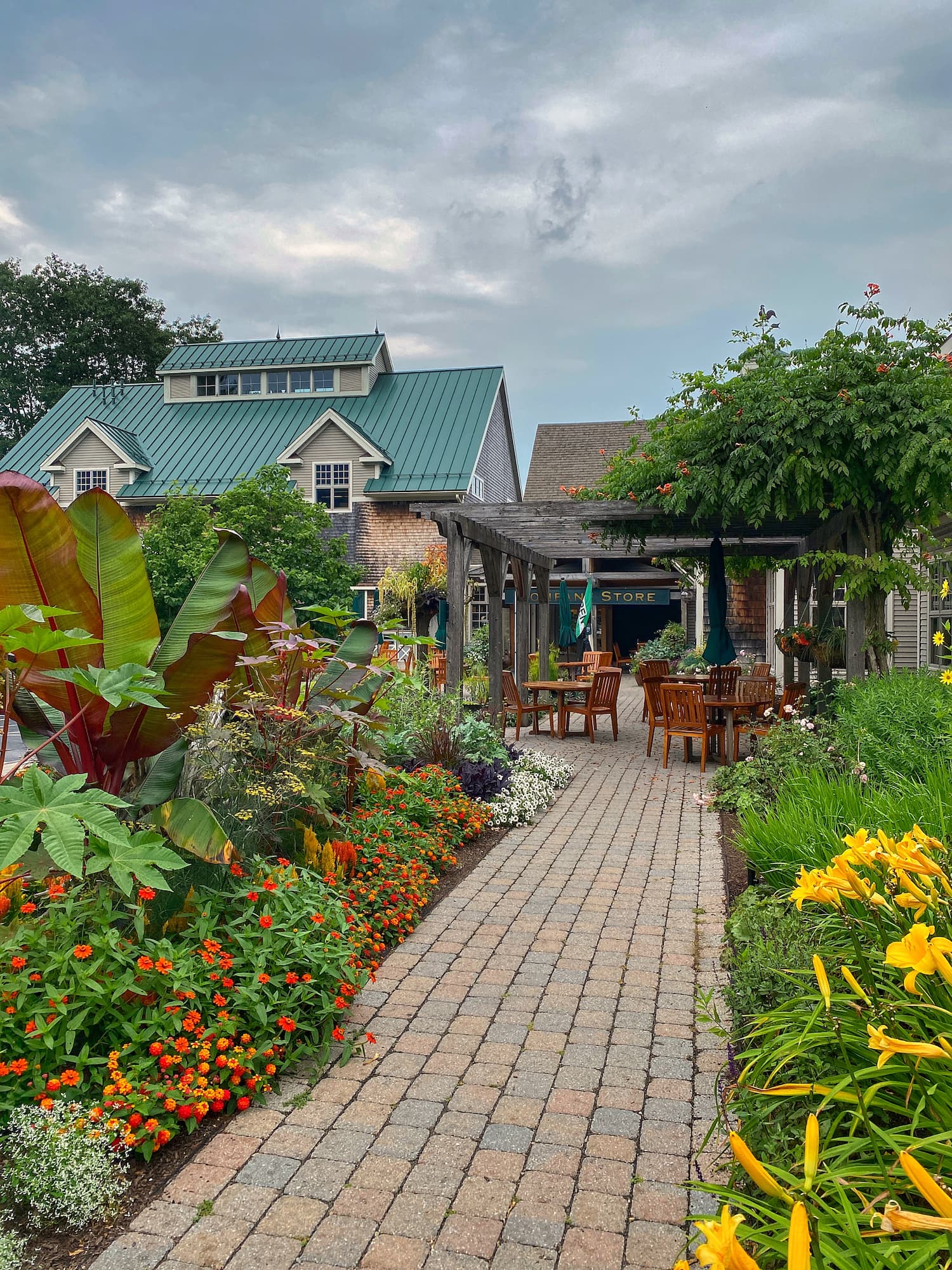 Enjoying My Maine Coastal Cottage Midsummer Gardens - Molly in Maine