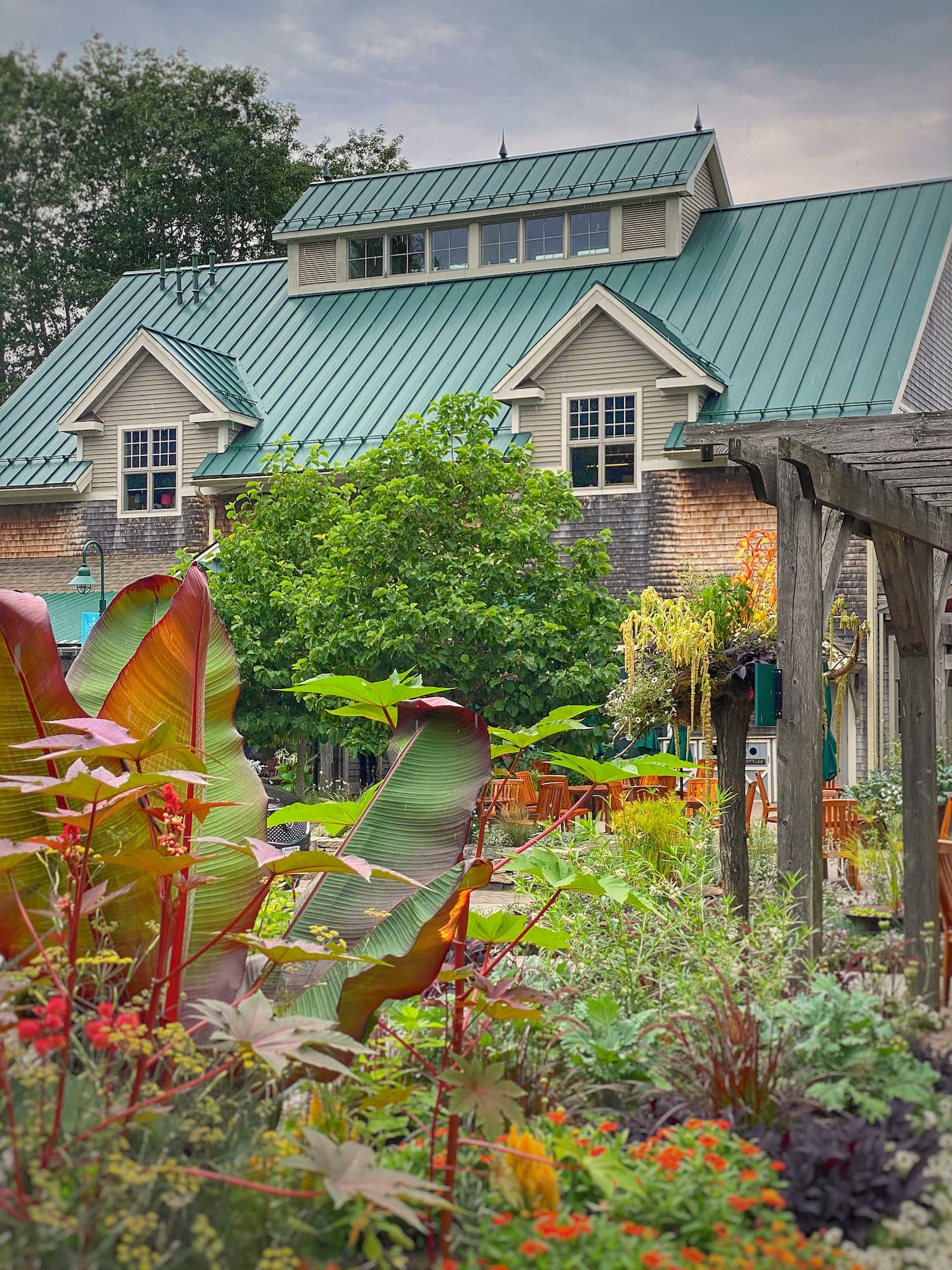 Enjoying My Maine Coastal Cottage Midsummer Gardens - Molly in Maine