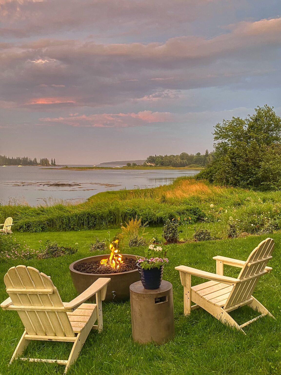 Enjoying My Maine Coastal Cottage Midsummer Gardens - Molly in Maine