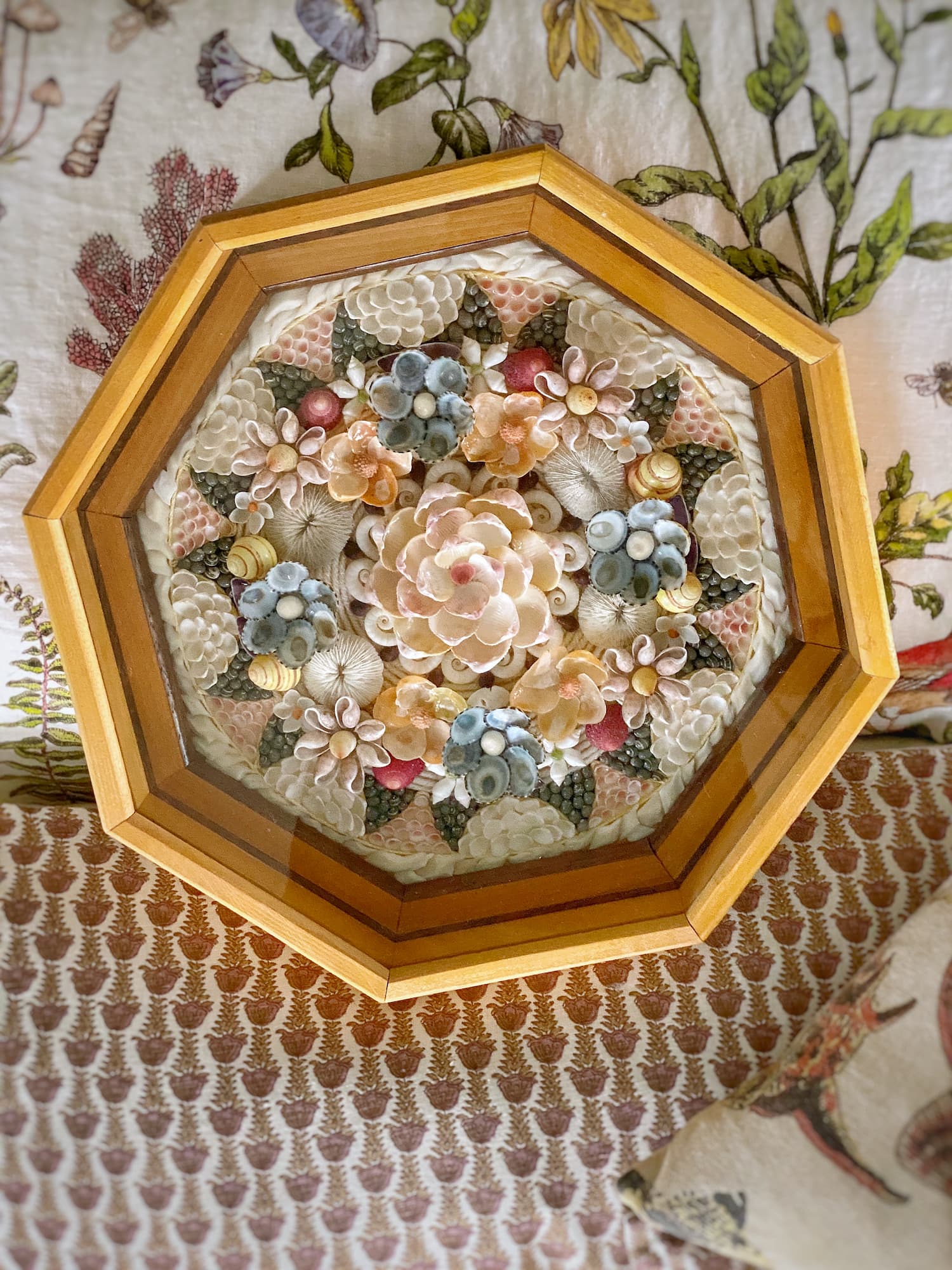 Coastal Style | Decorating With Seashells All Year Round - Molly in Maine