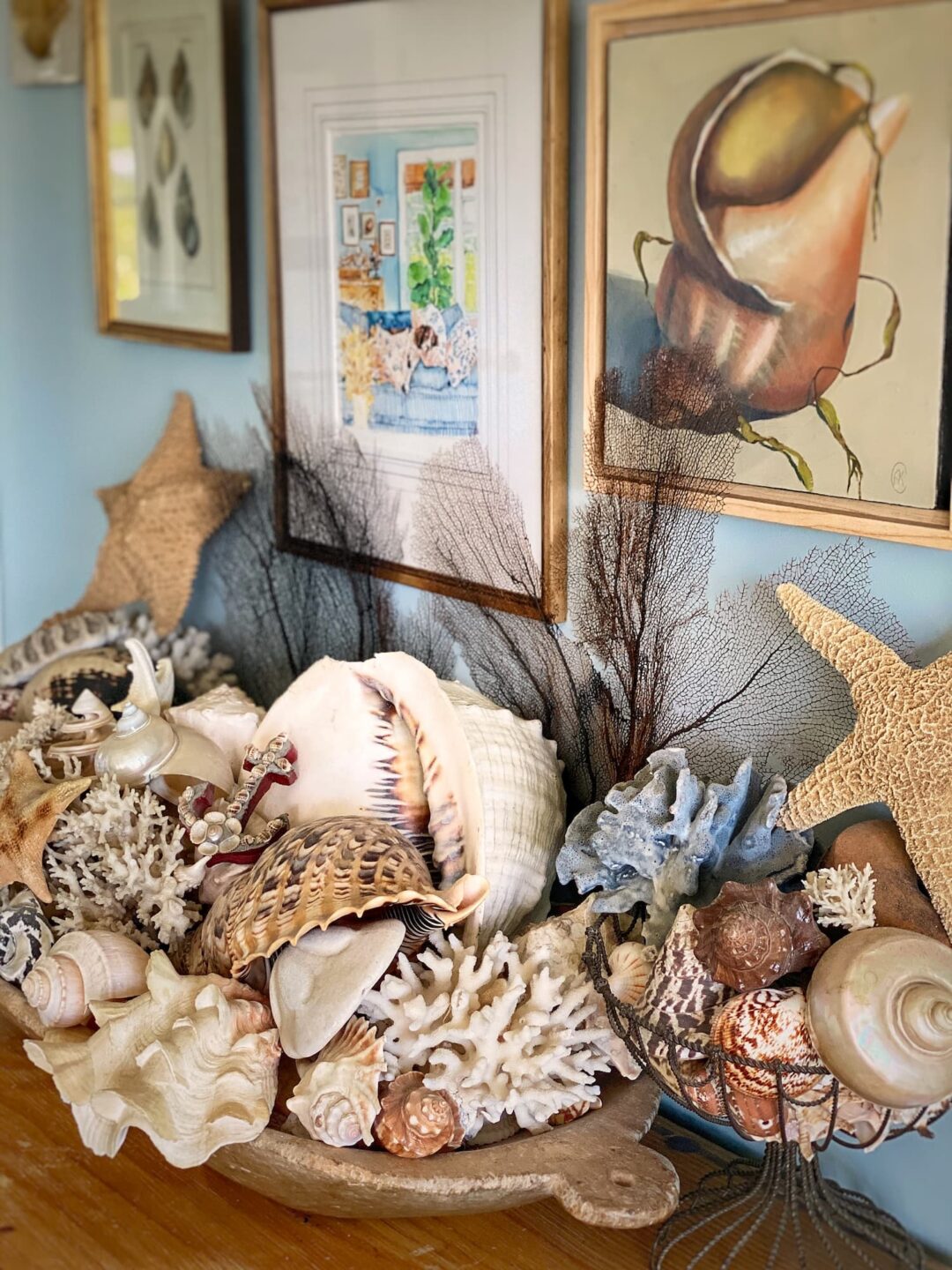 Coastal Style | Decorating With Seashells All Year Round - Molly in Maine