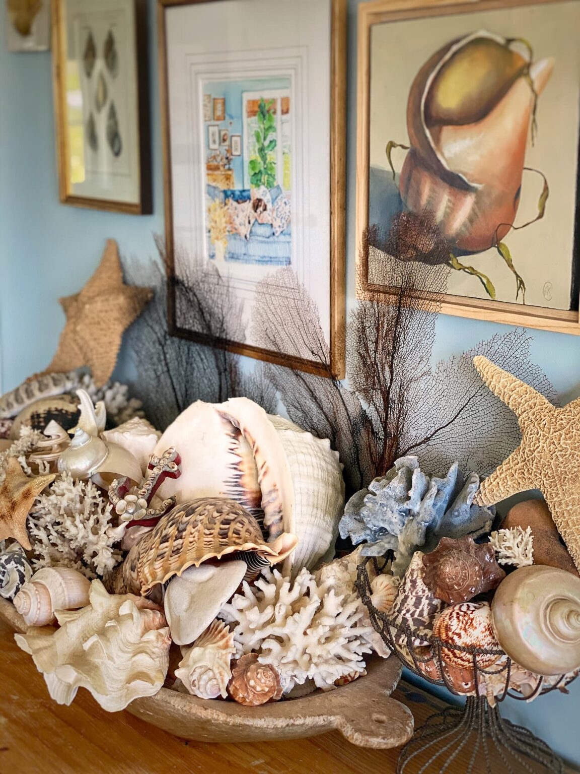 Coastal Style | Decorating With Seashells All Year Round - Molly in Maine