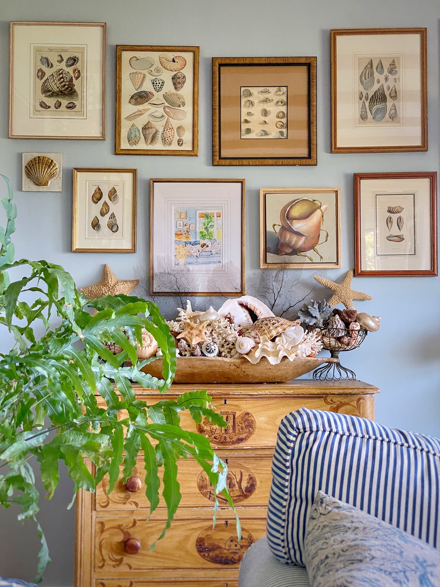 Coastal Style | Decorating With Seashells All Year Round - Molly in Maine
