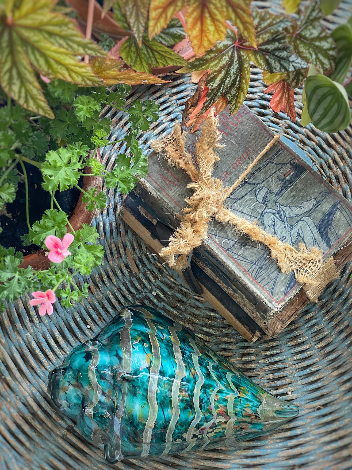 Coastal Style | Decorating With Seashells All Year Round - Molly in Maine