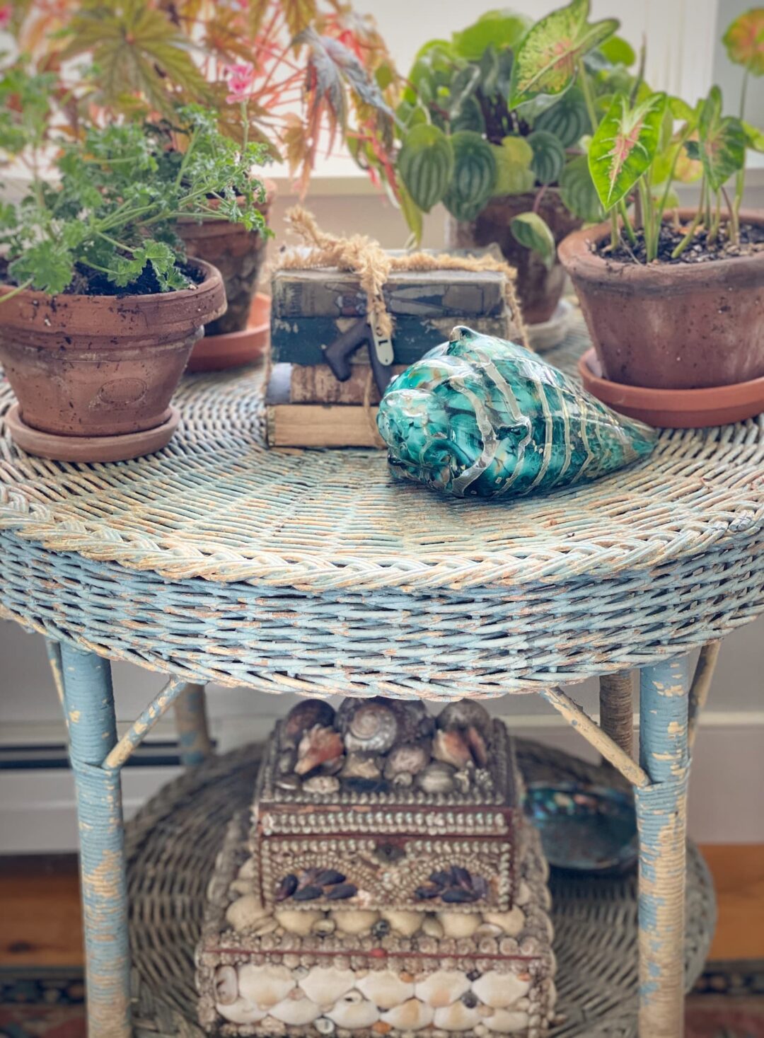 Coastal Style | Decorating With Seashells All Year Round - Molly in Maine
