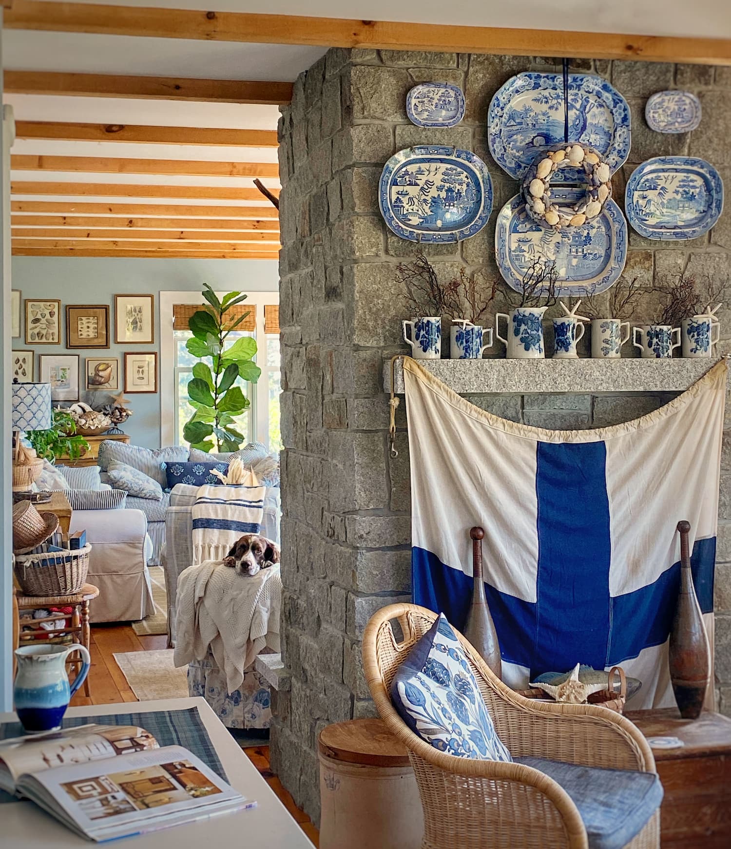 Coastal Style | Decorating With Seashells All Year Round - Molly in Maine