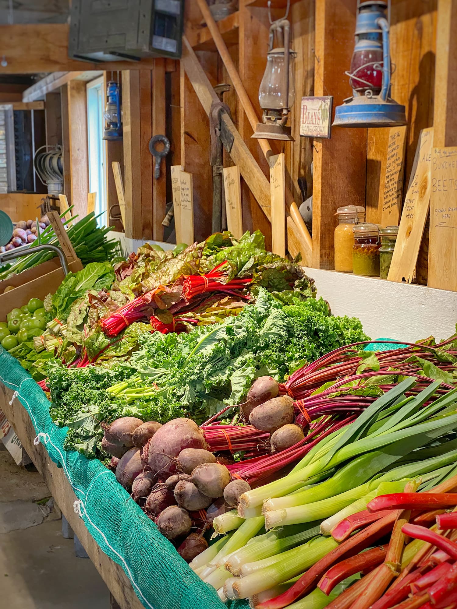Fresh Seasonal Meals Made With Summer's Bounty - Molly in Maine