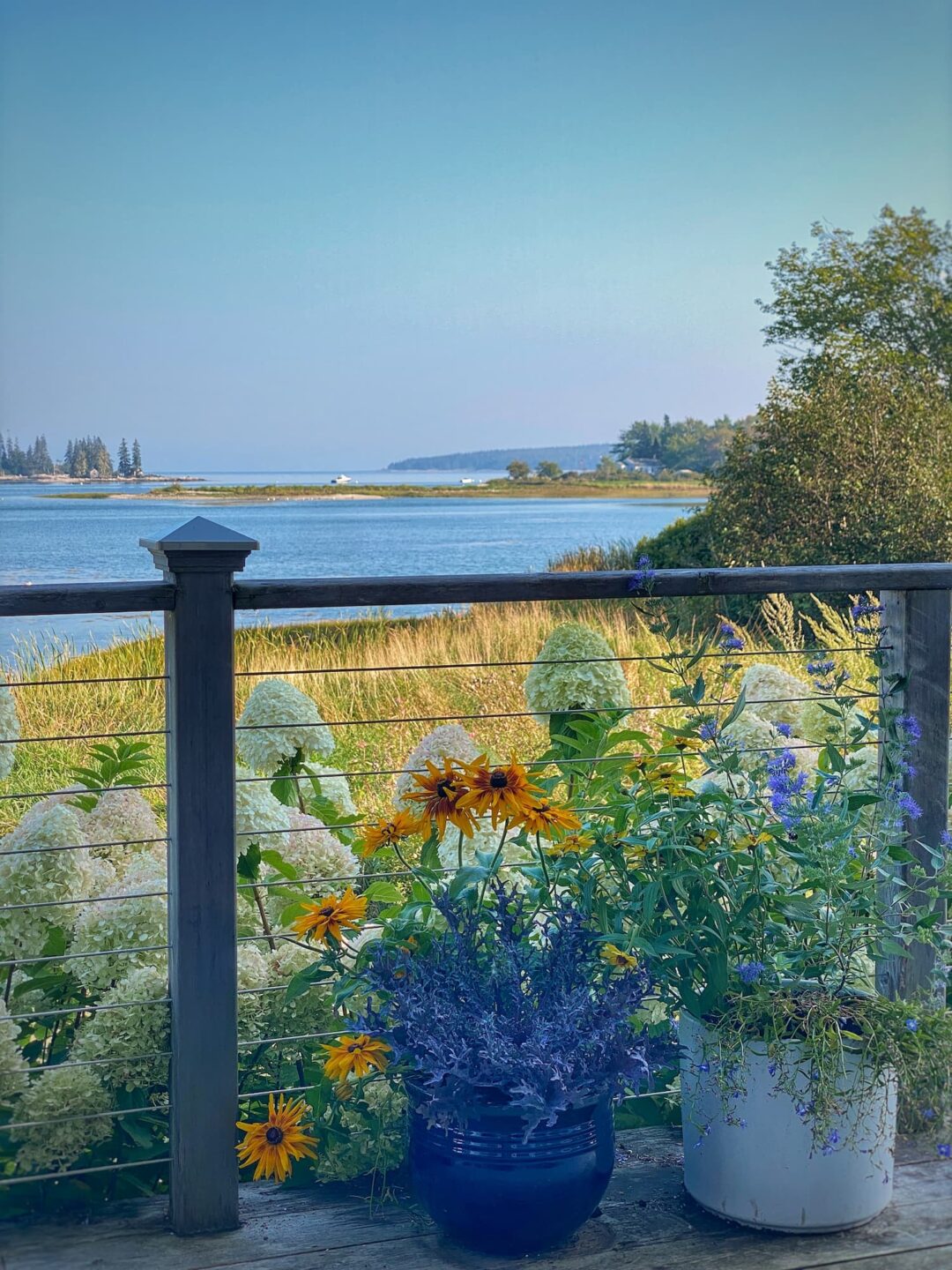 Fresh Color and Texture For Your Planters Heading Into Fall - Molly in ...