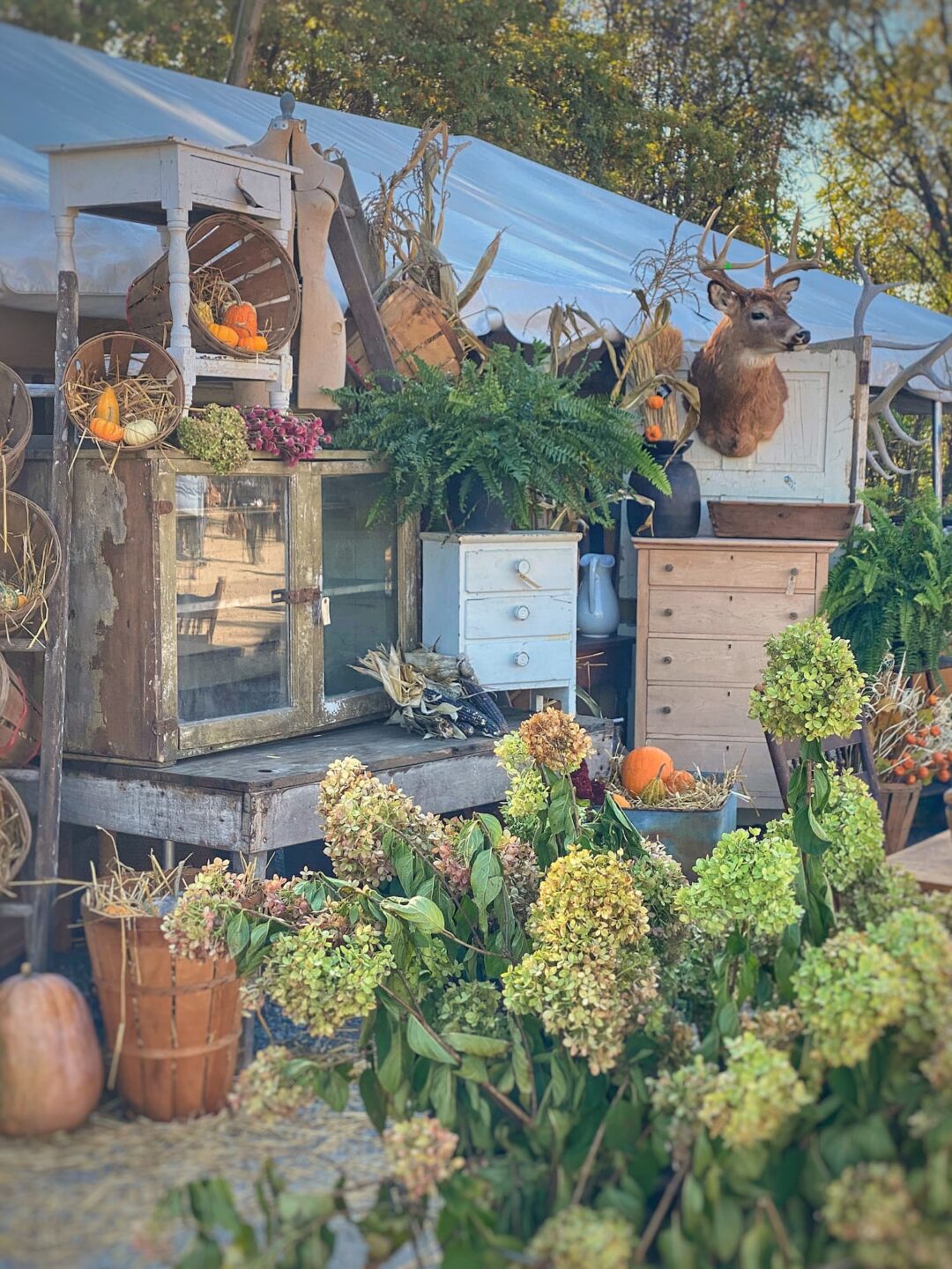 A Vintage Hip Day At The Lucketts Fall Market - Molly in Maine