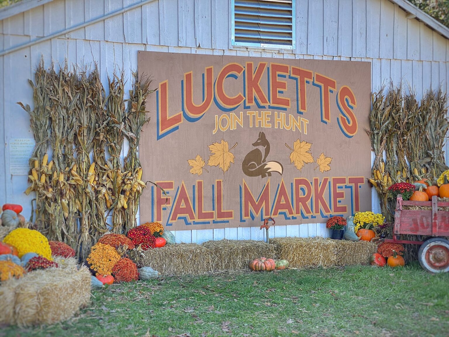 A Vintage Hip Day At The Lucketts Fall Market - Molly in Maine