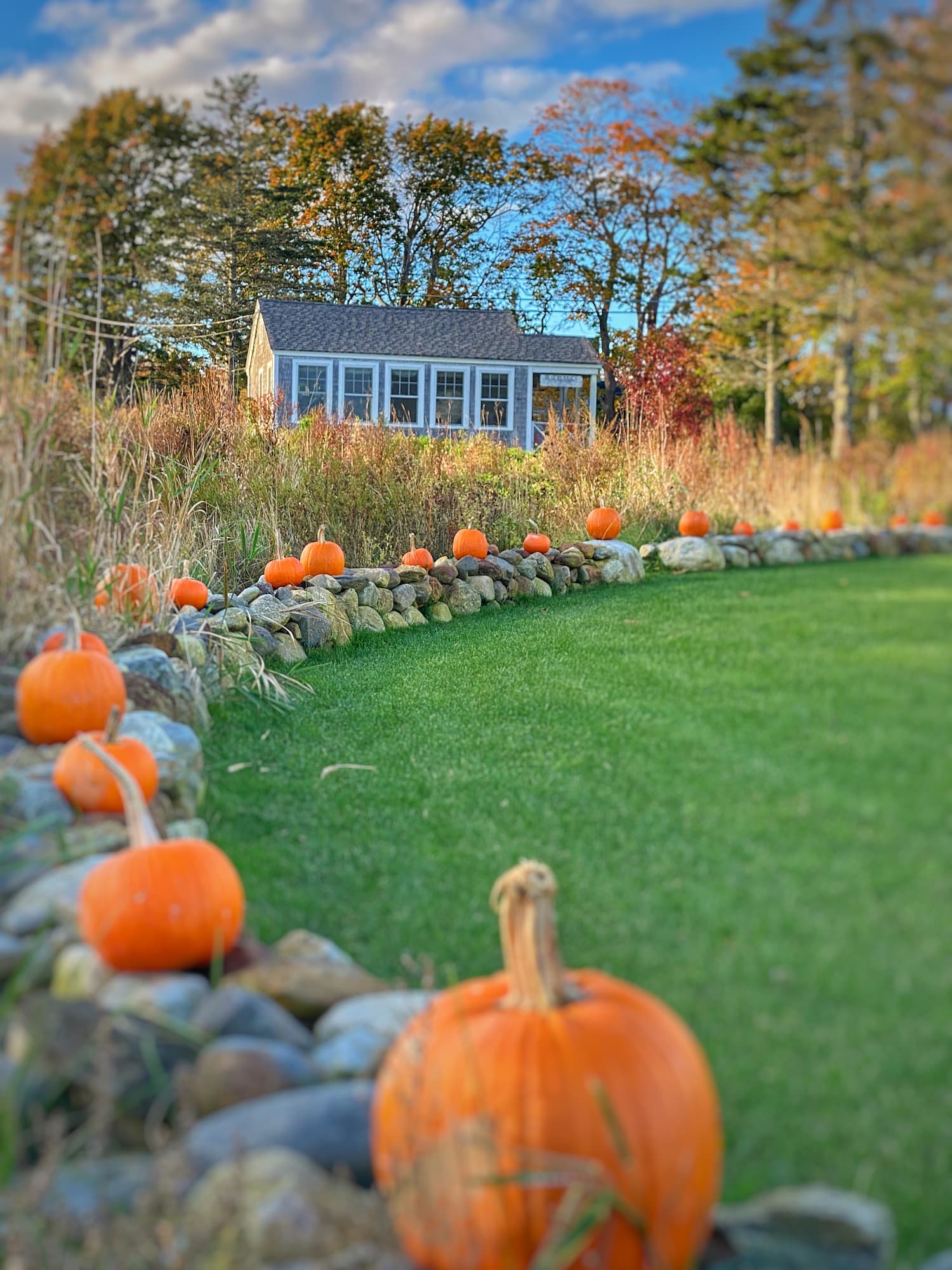 Easy Ways to Add Fun, Comfort, and Beauty to Your Home for Fall - Molly ...