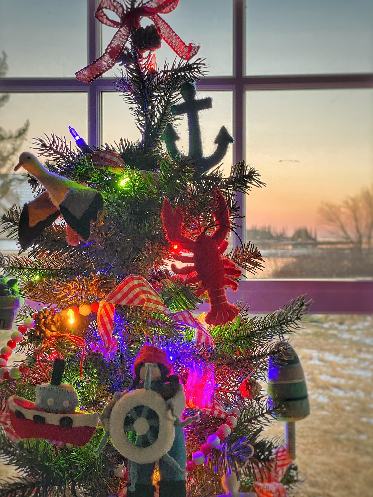 Personality, Meaning, and Joy | Decorating Your Christmas Tree - Molly ...