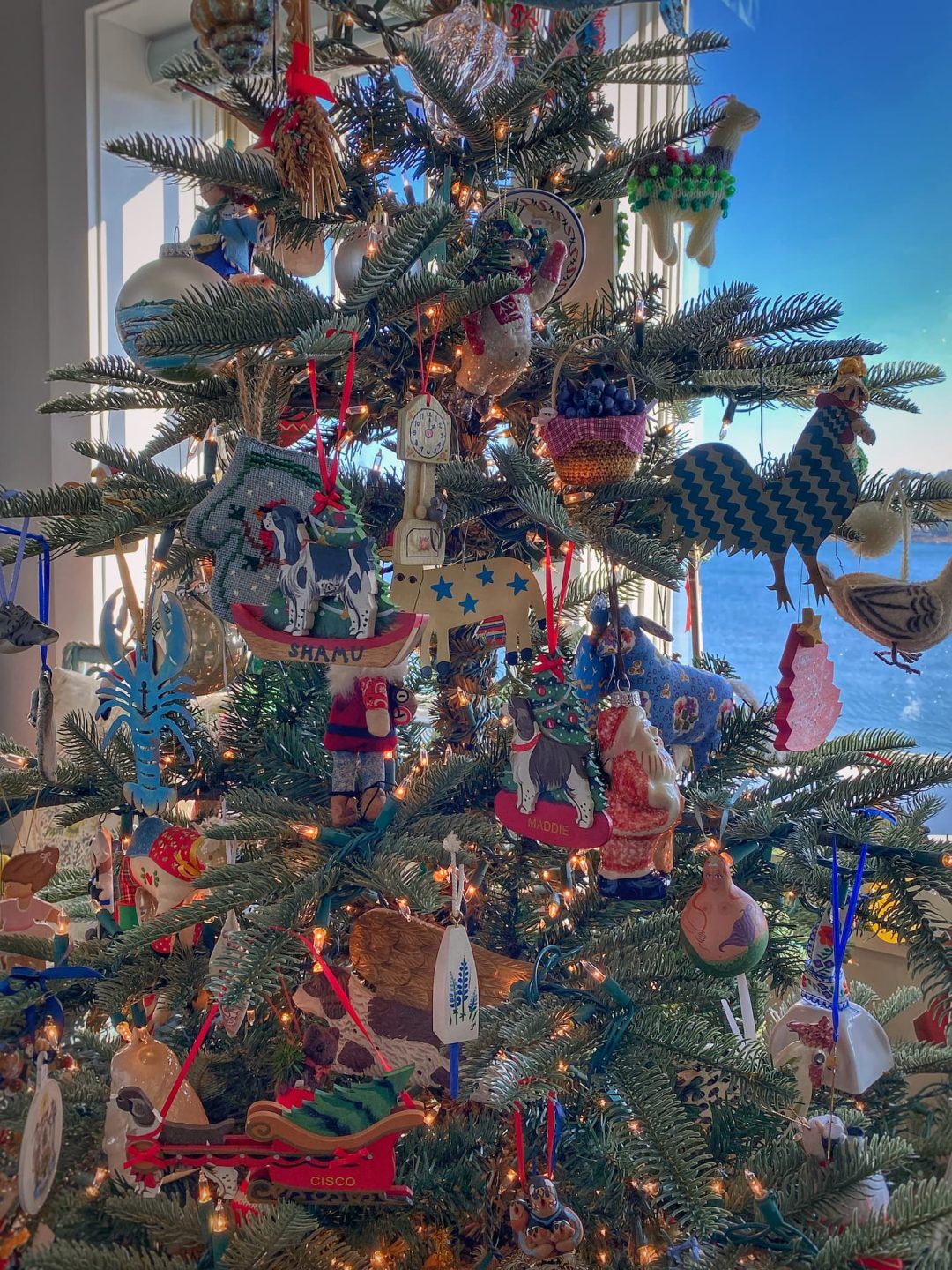 Personality, Meaning, and Joy | Decorating Your Christmas Tree - Molly ...