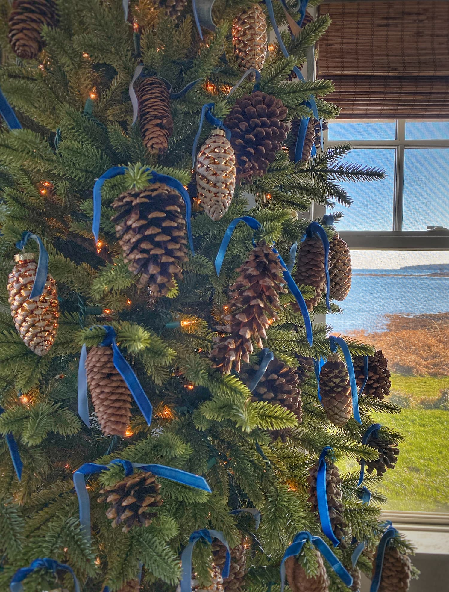 Personality, Meaning, and Joy | Decorating Your Christmas Tree - Molly ...