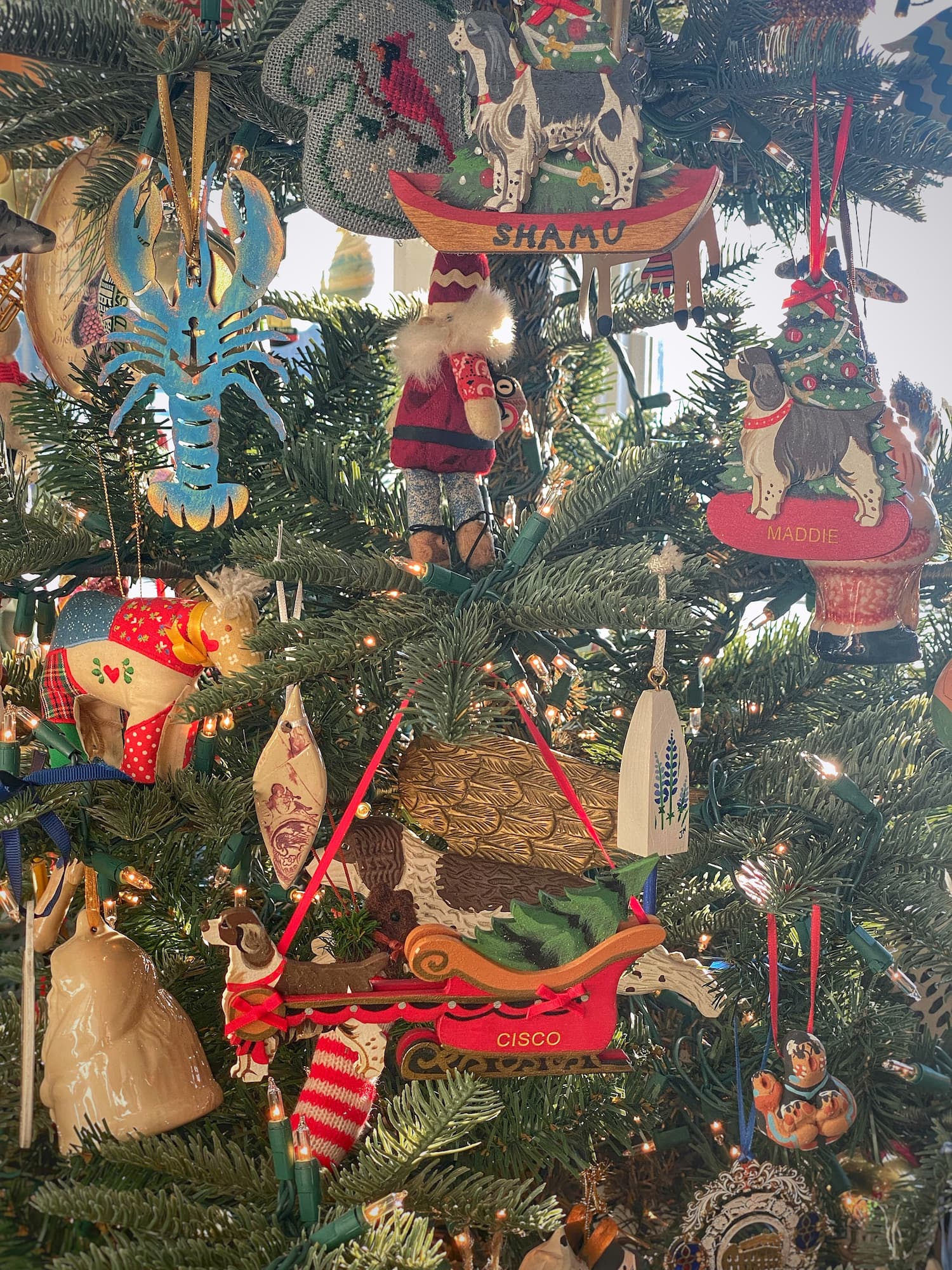 Personality, Meaning, and Joy | Decorating Your Christmas Tree - Molly ...