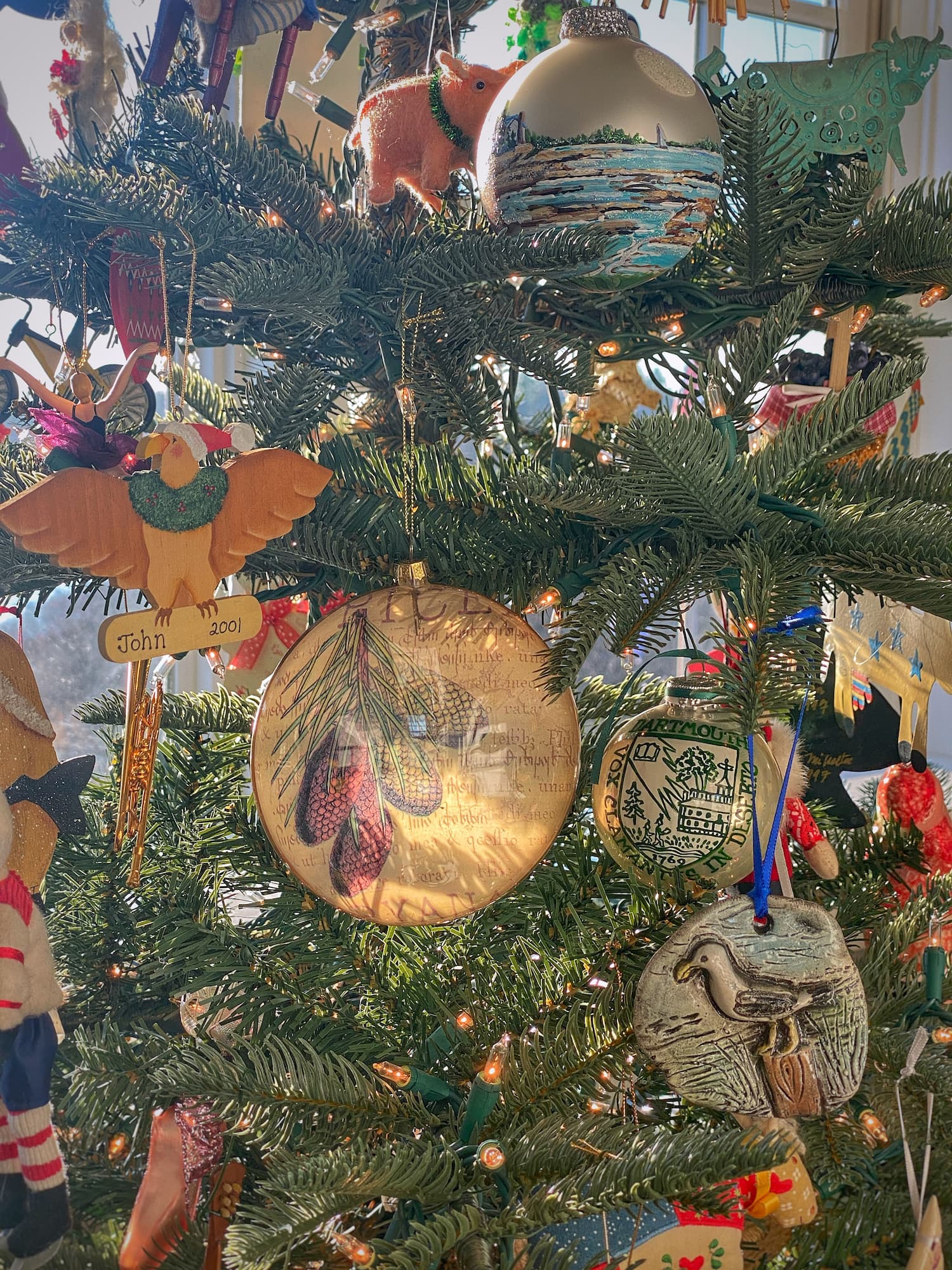 Personality, Meaning, and Joy | Decorating Your Christmas Tree - Molly ...