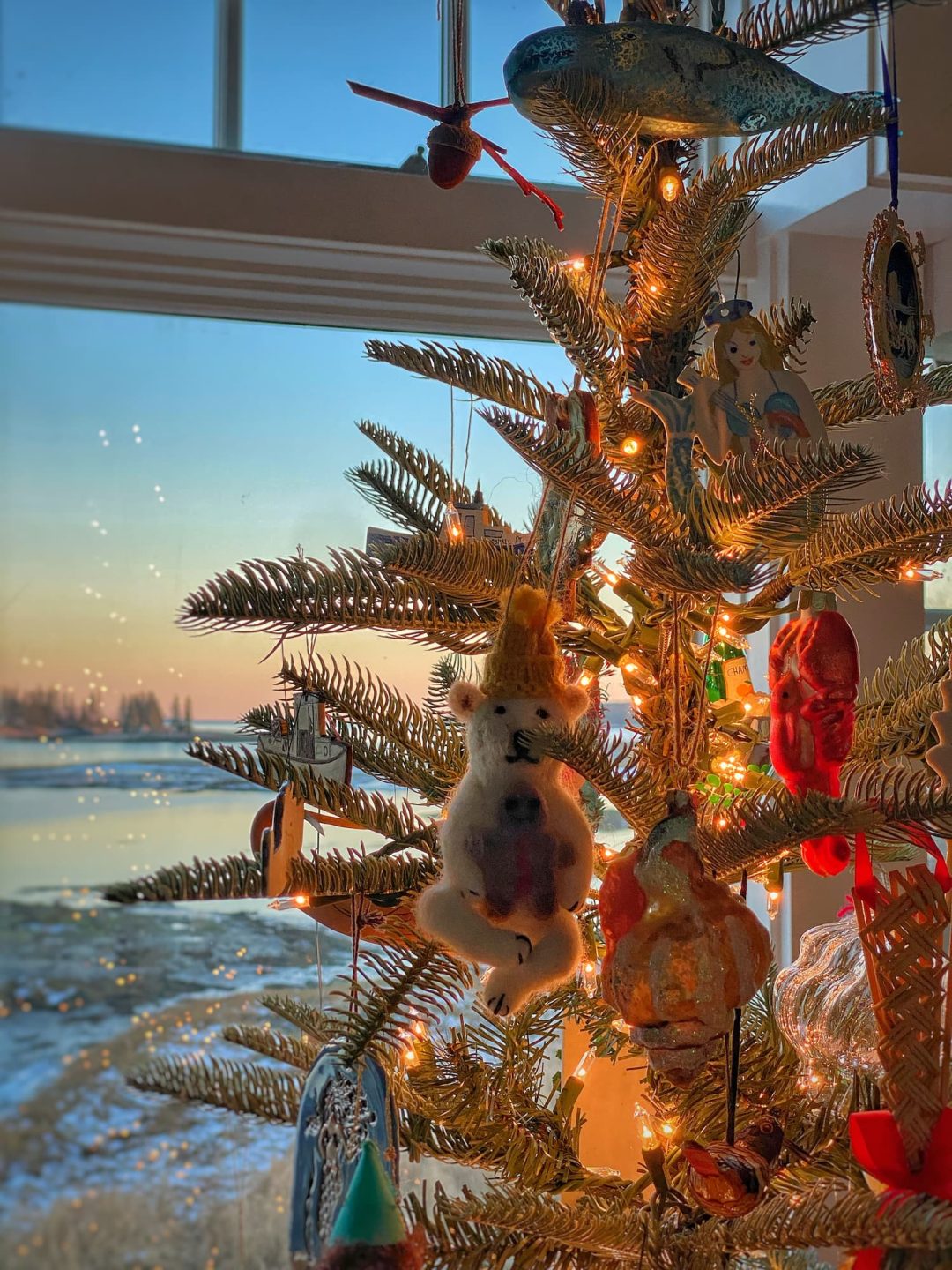 Personality, Meaning, and Joy | Decorating Your Christmas Tree - Molly ...