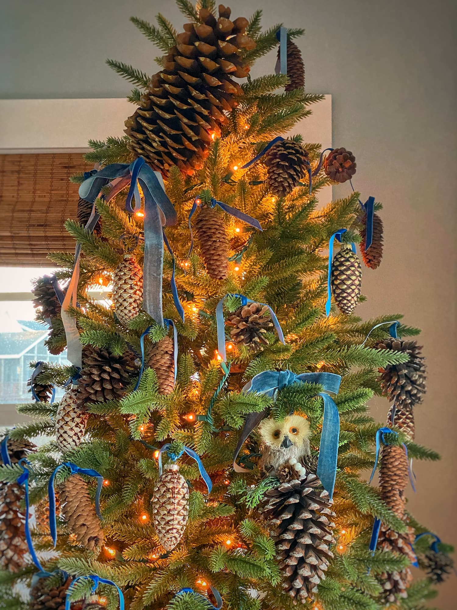 Personality, Meaning, and Joy | Decorating Your Christmas Tree - Molly ...