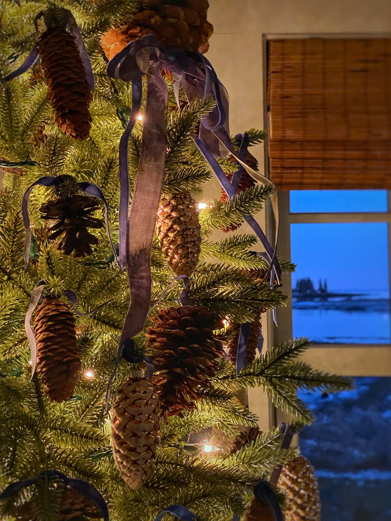 Personality, Meaning, and Joy | Decorating Your Christmas Tree - Molly ...