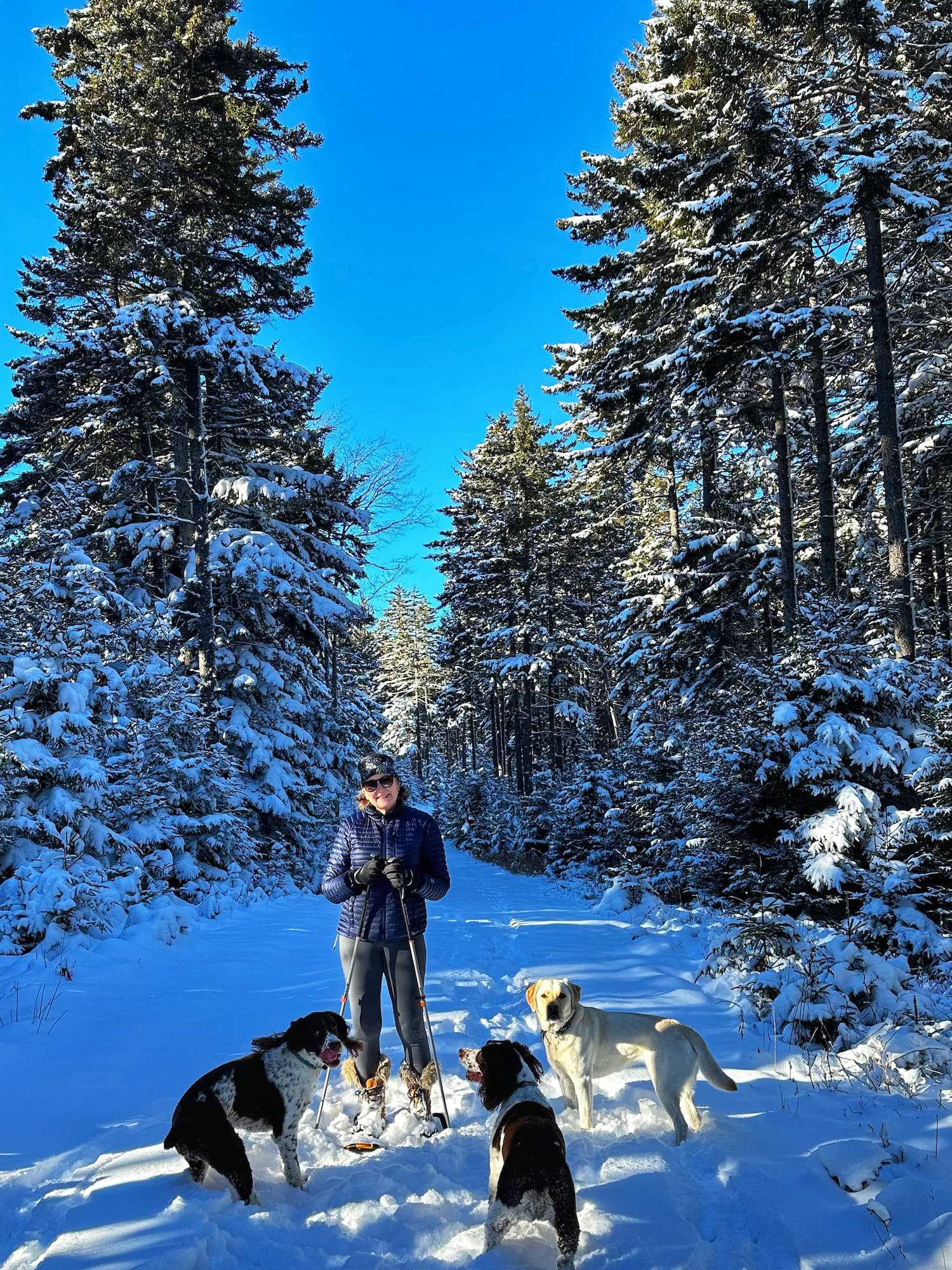 Coordinating Window Treatments In An Open Floor Plan Space - Molly in Maine