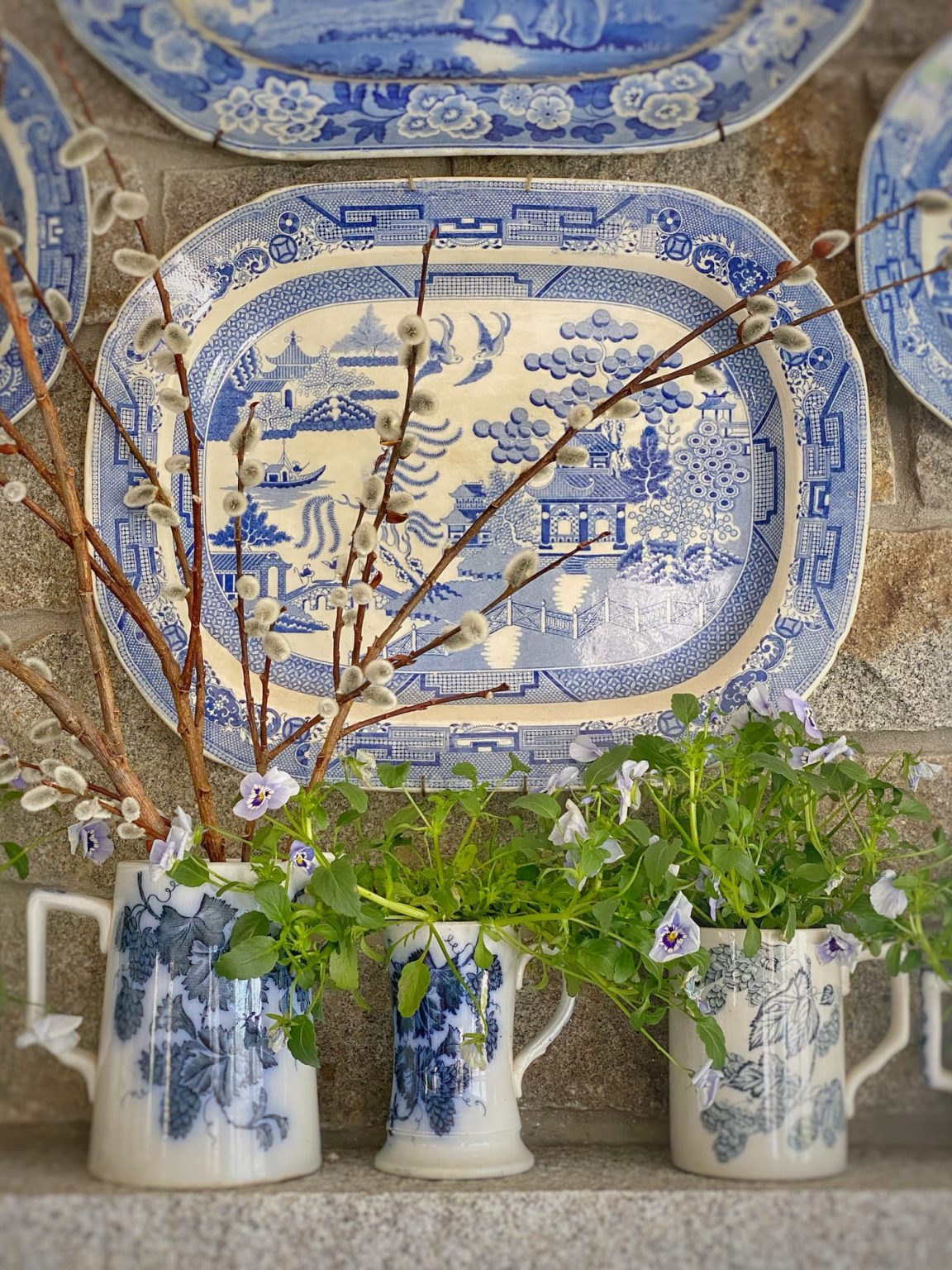 Signs of Spring On the Maine Coast - Inside and Out - Molly in Maine