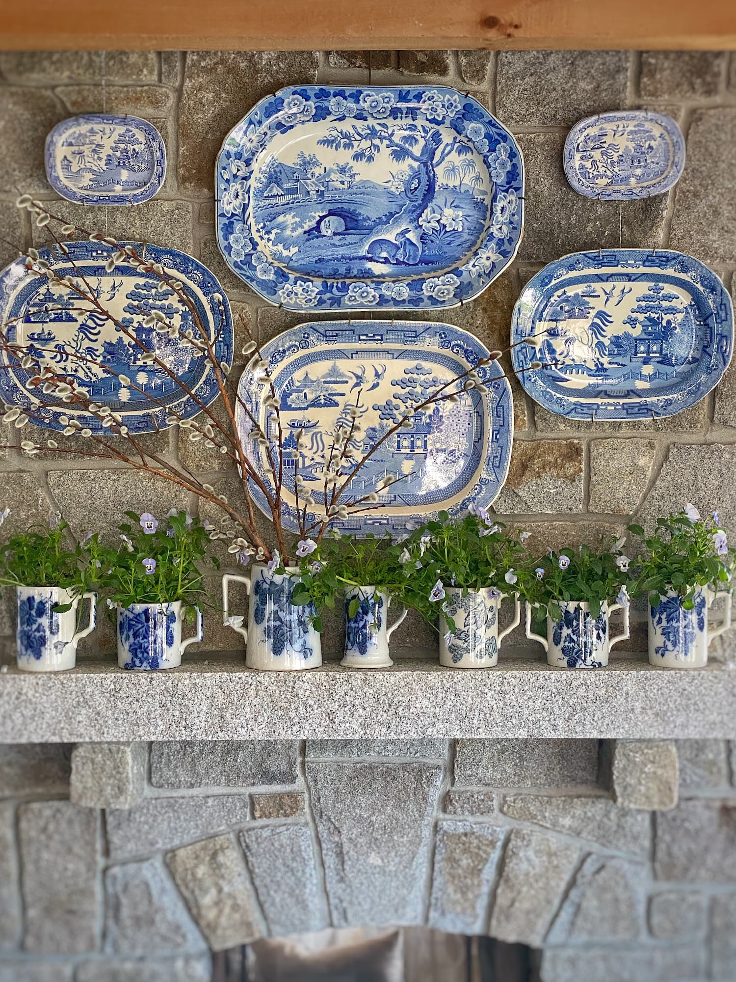 Signs of Spring On the Maine Coast - Inside and Out - Molly in Maine