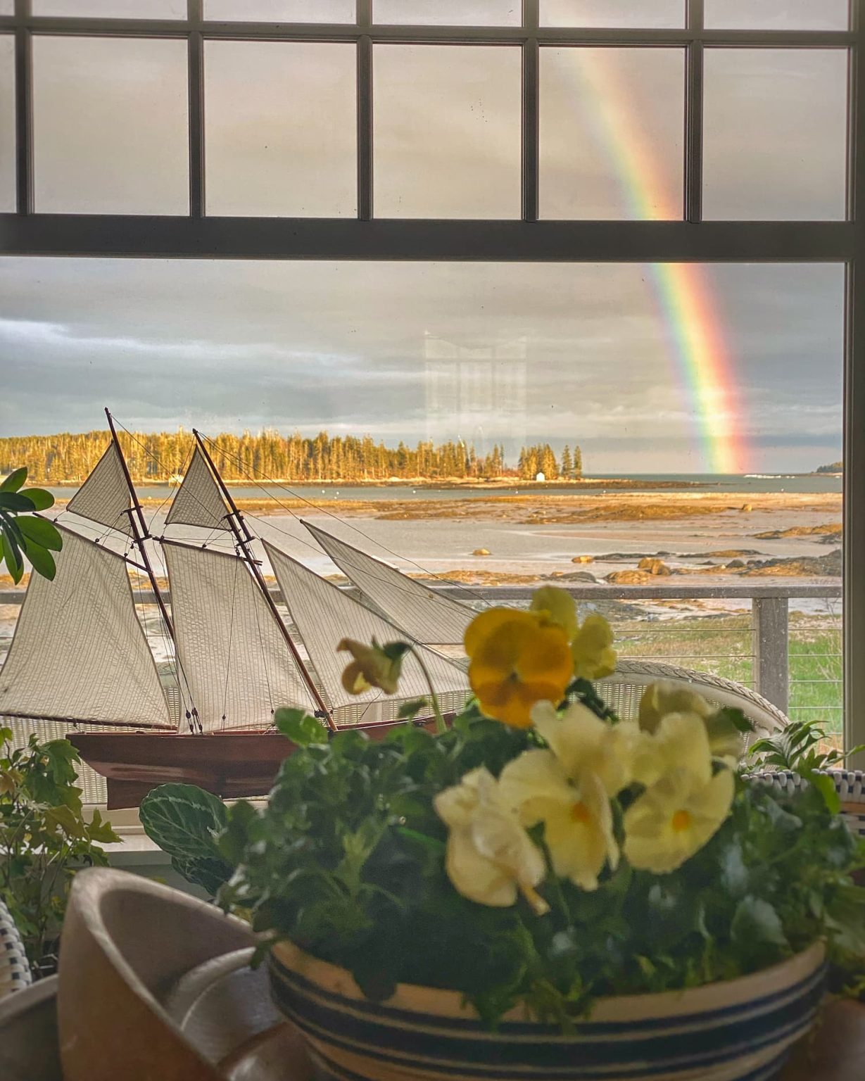 Signs of Spring On the Maine Coast - Inside and Out - Molly in Maine