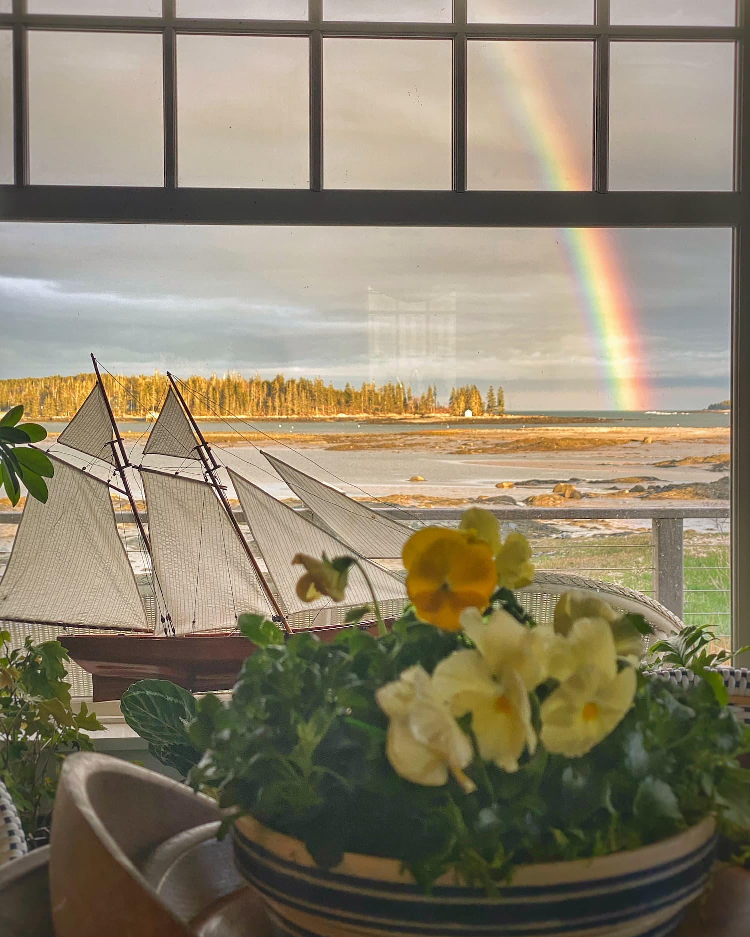 Signs of Spring On the Maine Coast - Inside and Out - Molly in Maine