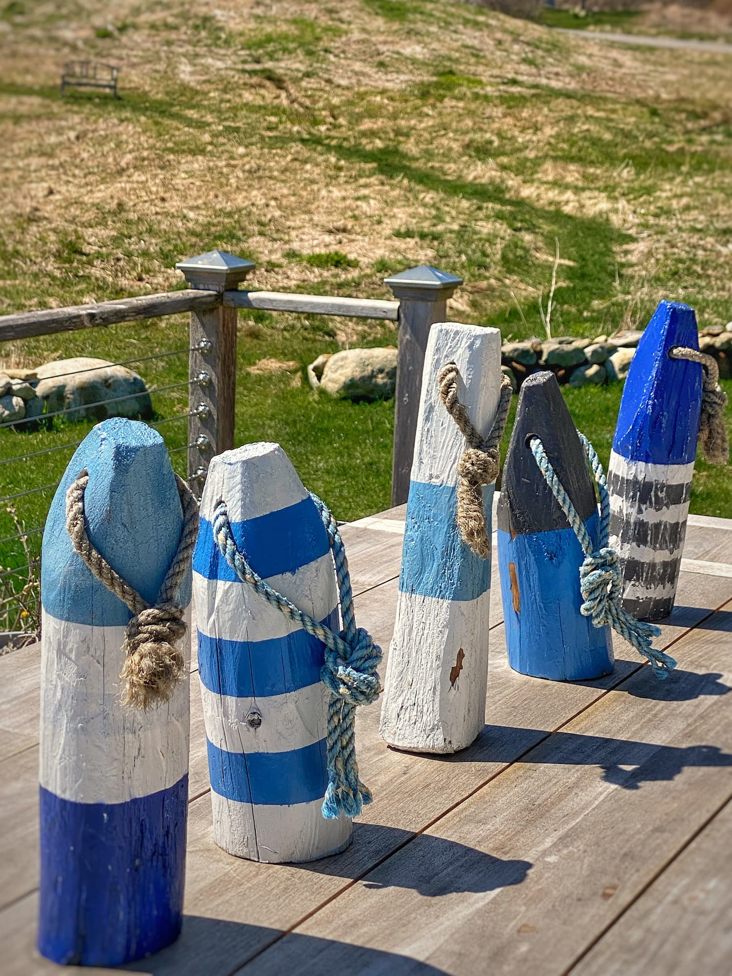 Signs of Spring On the Maine Coast - Inside and Out - Molly in Maine
