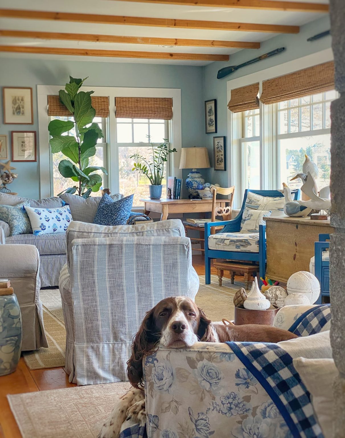 Signs of Spring On the Maine Coast - Inside and Out - Molly in Maine