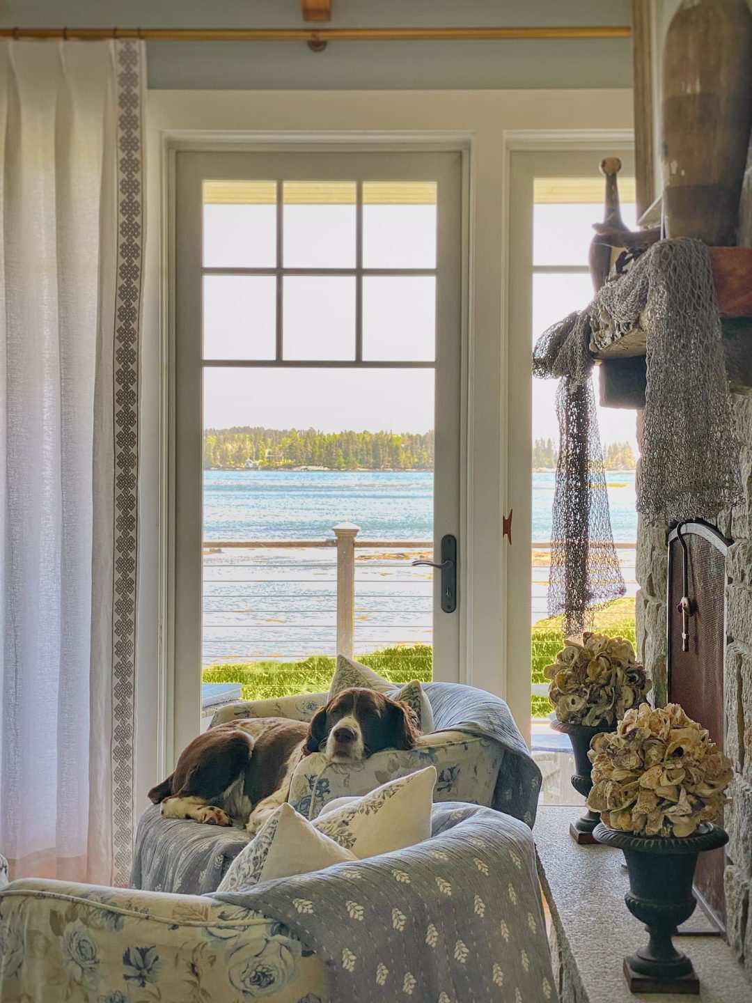 It's Starting to Look Like Summer Inside, Out, and Around Town! - Molly ...