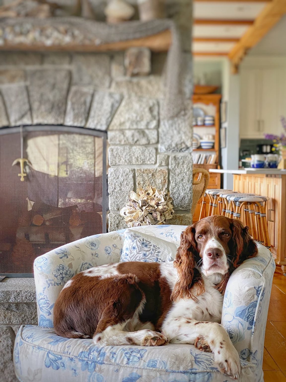 After the Homeworthy Shoot | My Home All Prepped and Primped - Molly in ...