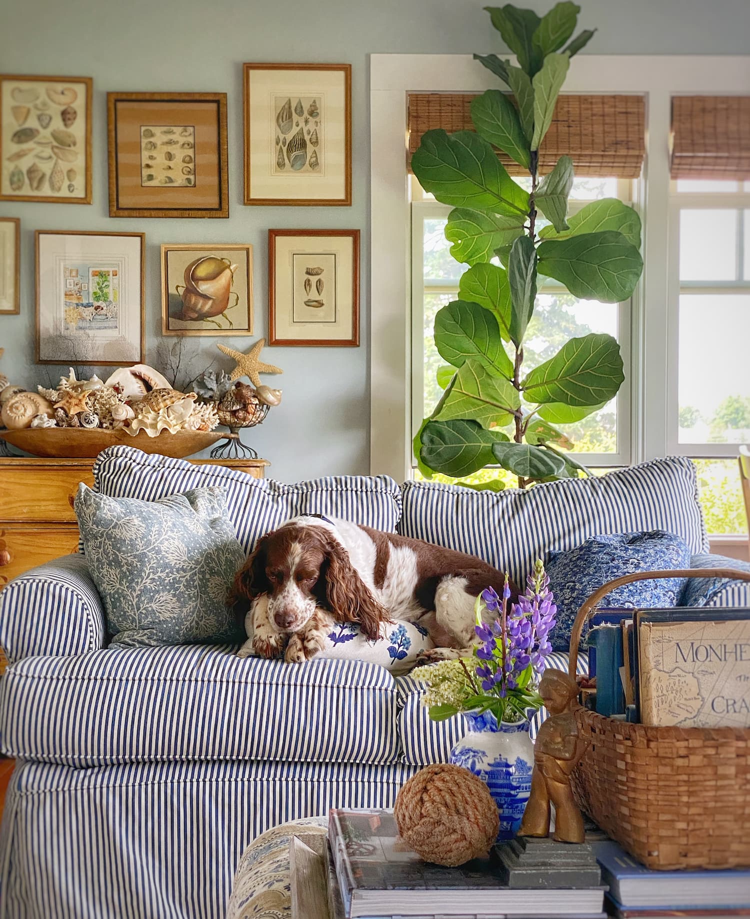 After the Homeworthy Shoot | My Home All Prepped and Primped - Molly in ...
