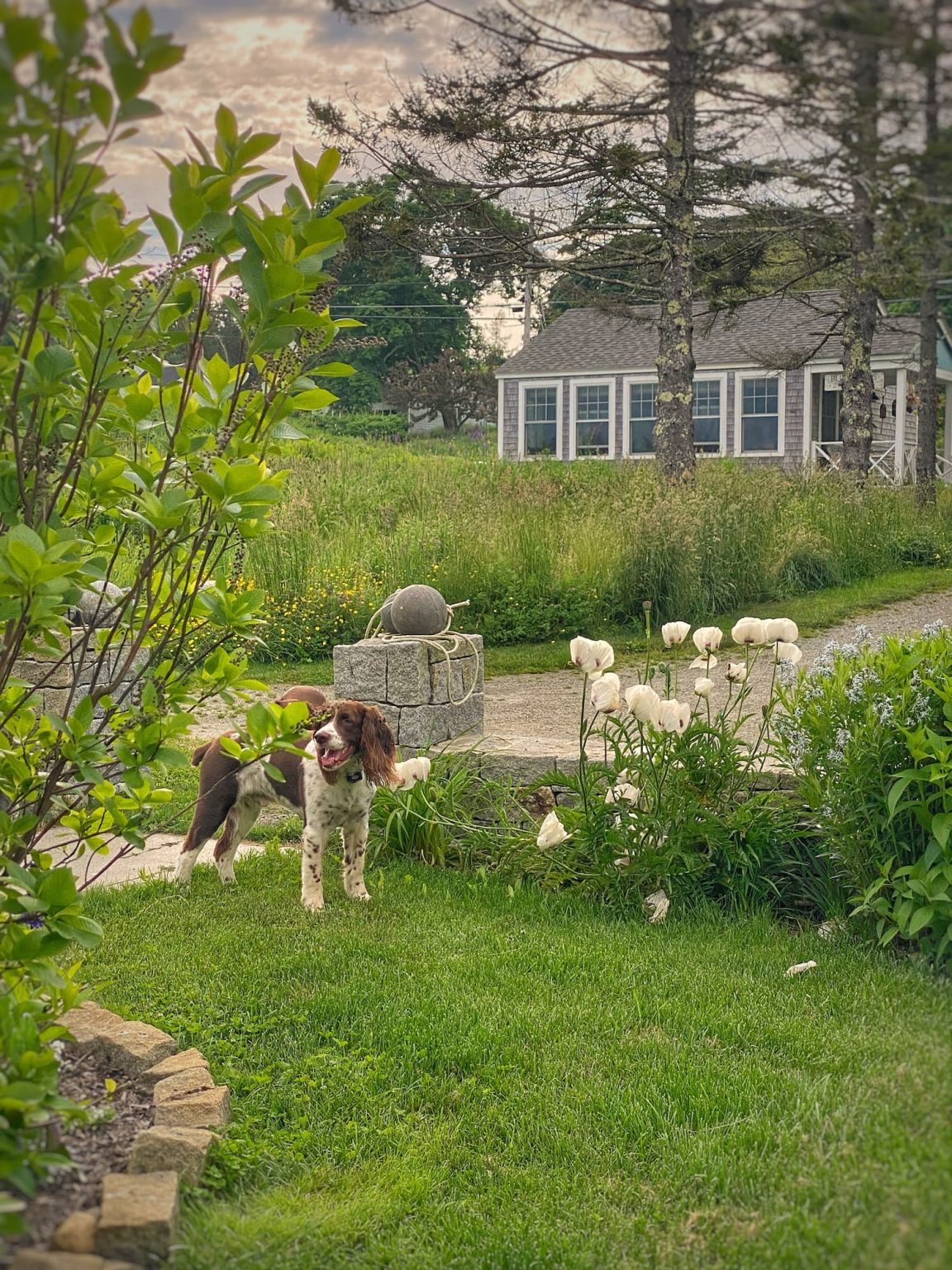 Getting Ready For a Homeworthy Home Tour Video Shoot - Molly in Maine