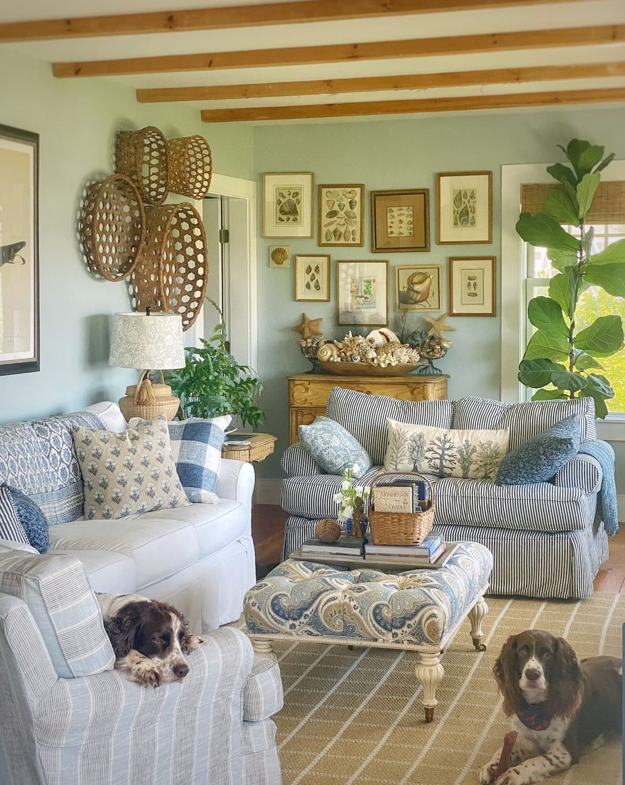 8 Elements of Classic Coastal Maine Summer Cottage Style - Molly in Maine