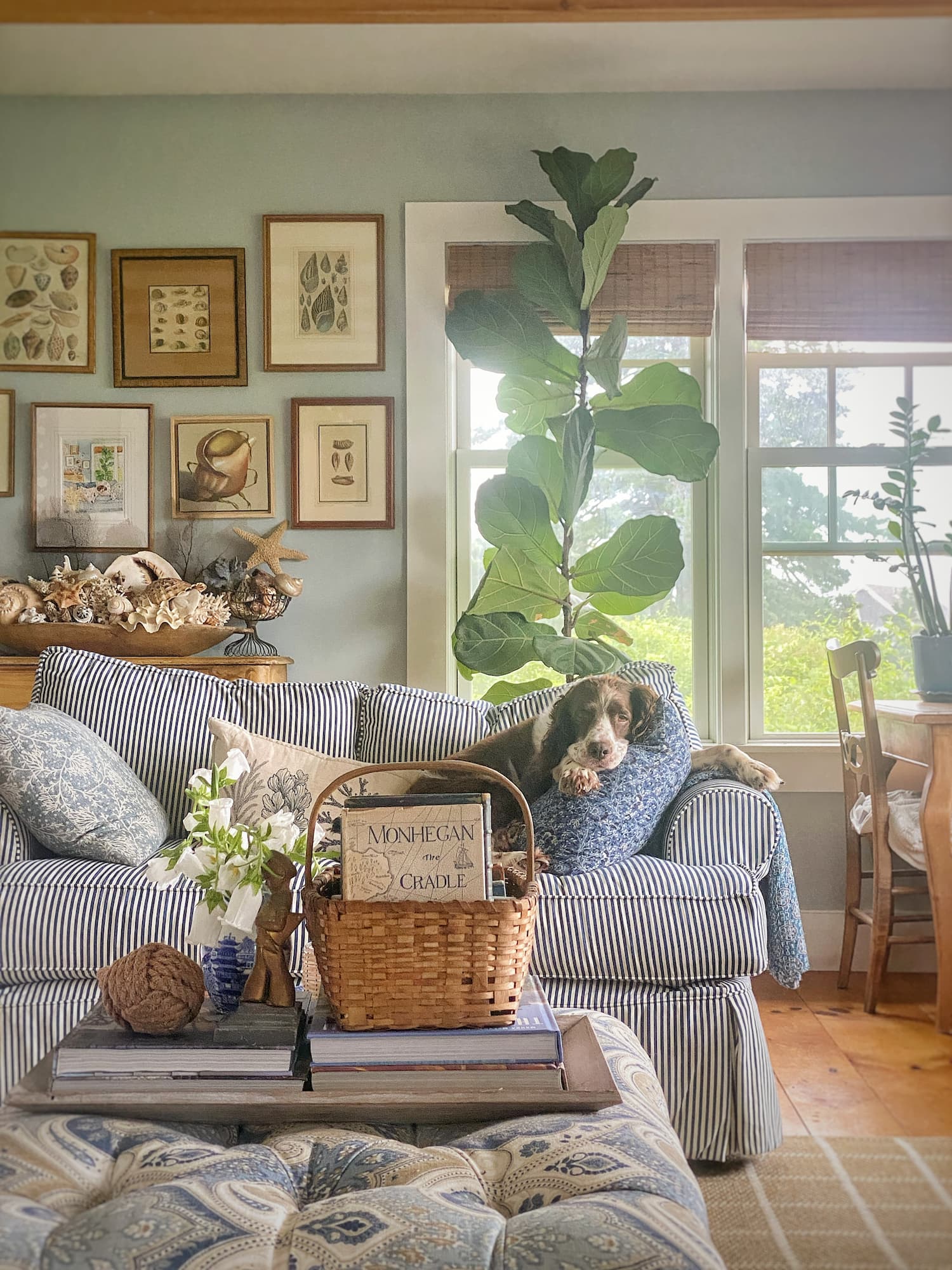 8 Elements of Classic Coastal Maine Summer Cottage Style - Molly in Maine