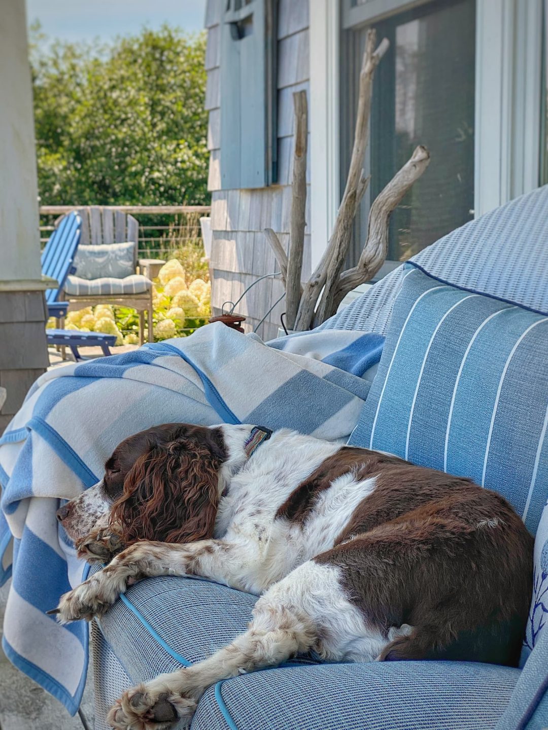 An Antique Portrait Late Summer Mantel Refresh - Molly in Maine