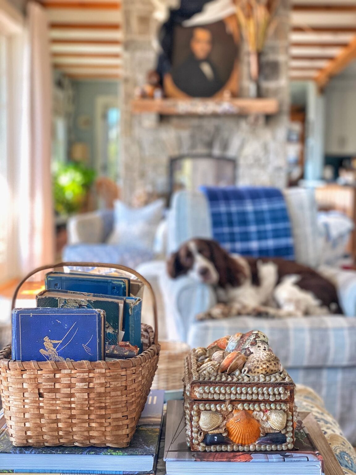 Books in a Basket Add Color, Texture, & Personality To Your Home ...